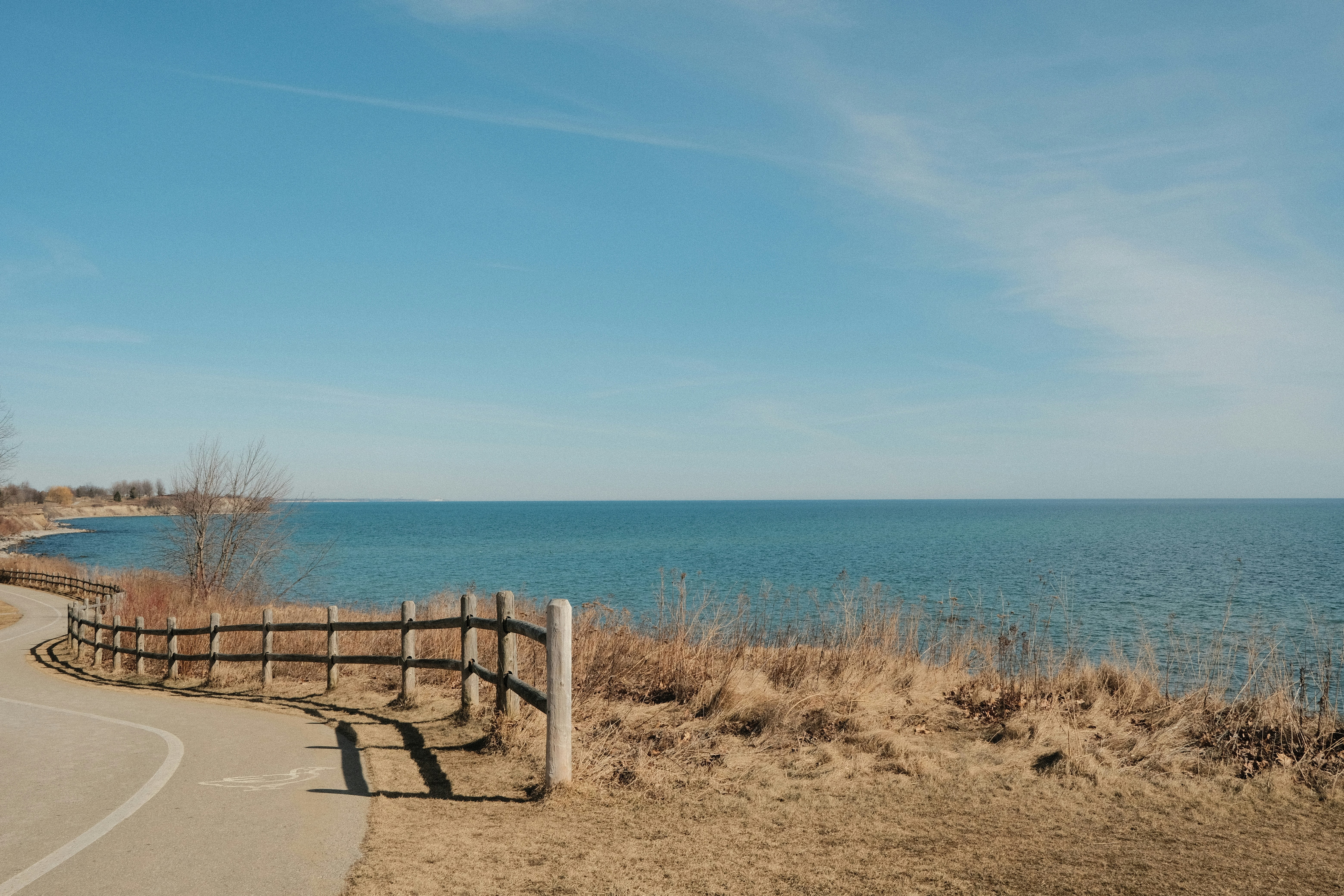 Coastal Curves: The Path and Fence Leading to a Calm Horizon