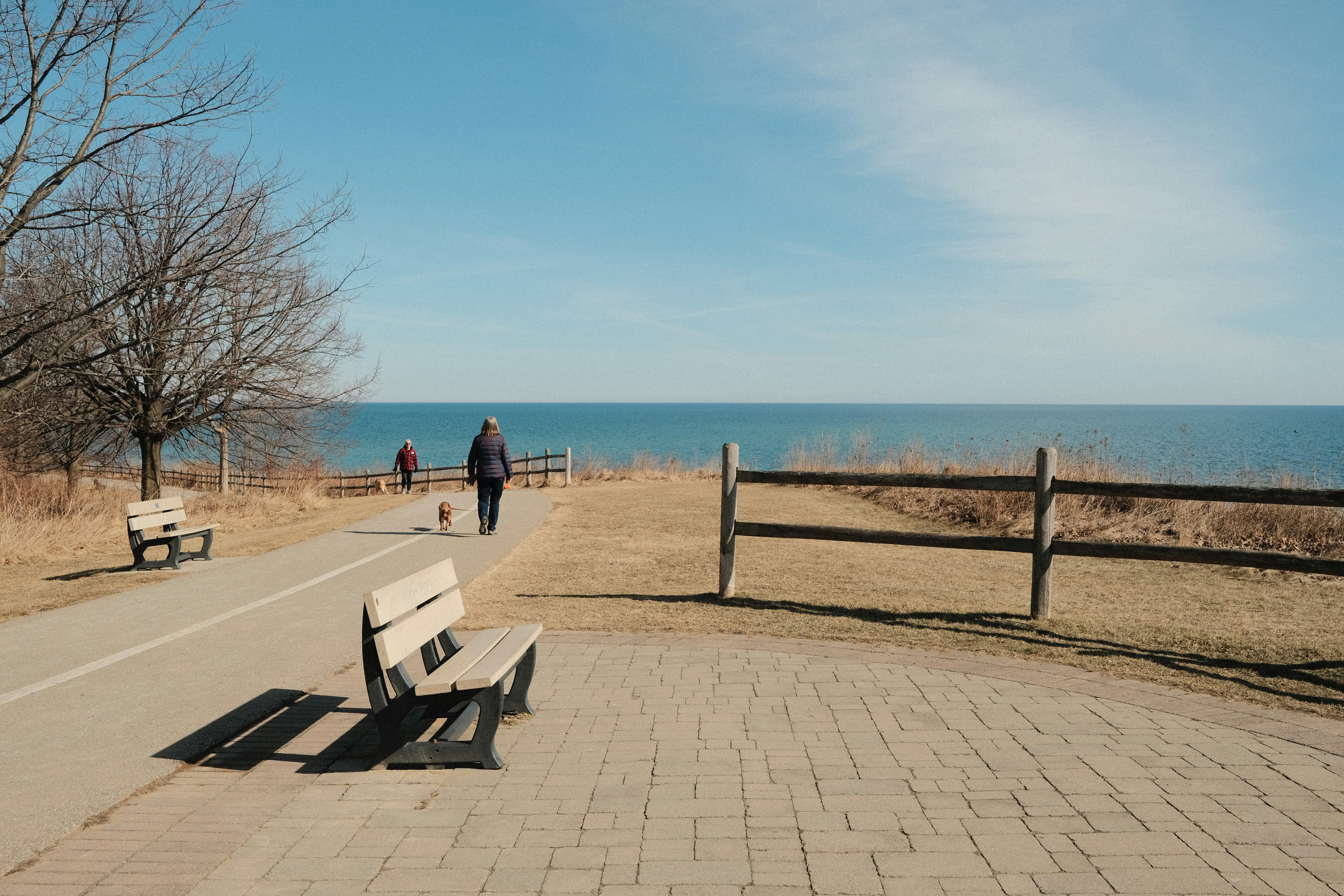 Sunlit Seaside Promenade: A Lone Bench Commands the Frame