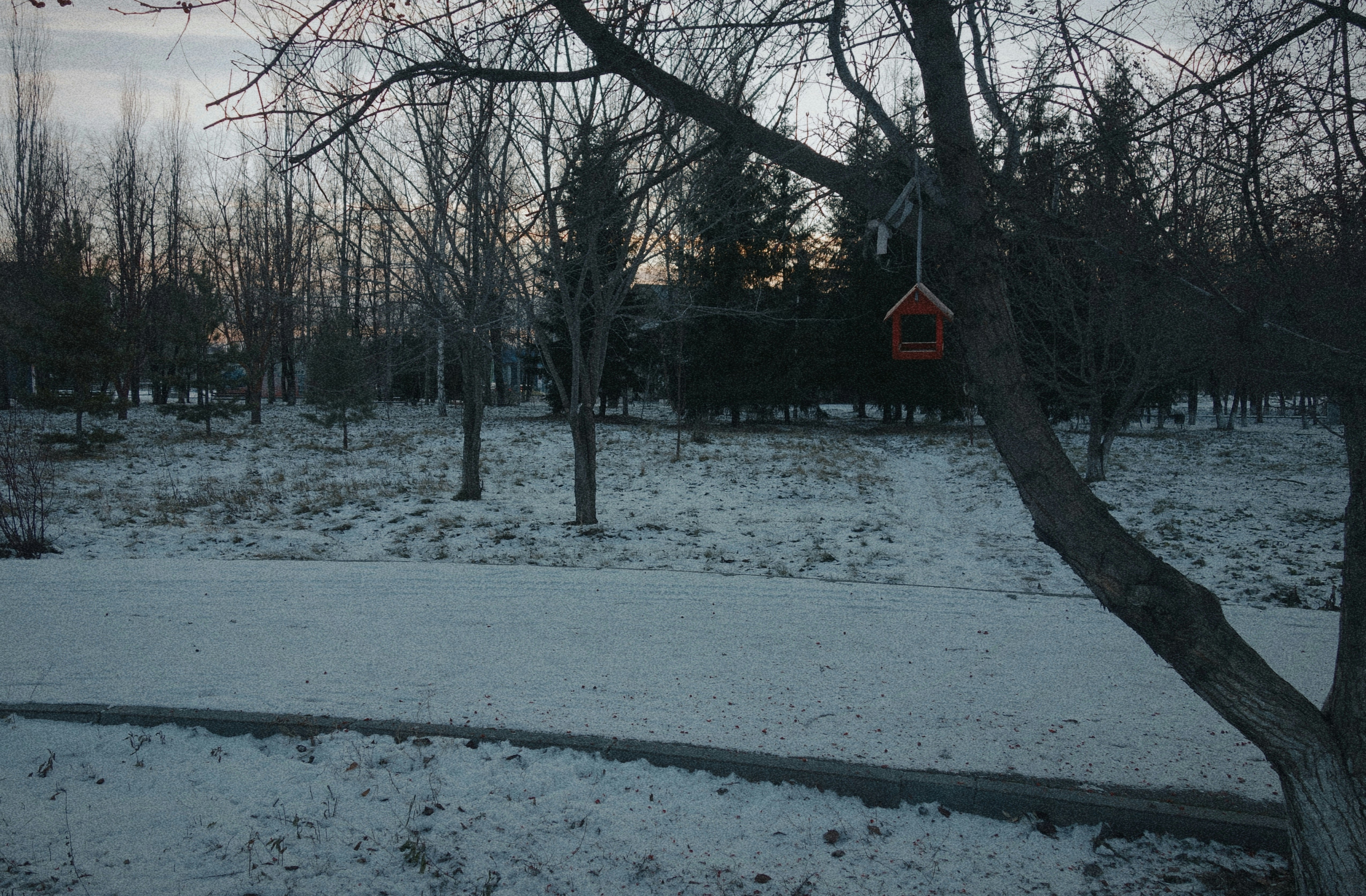 Red Birdhouse at Dusk: A Snow-Blanketed Park