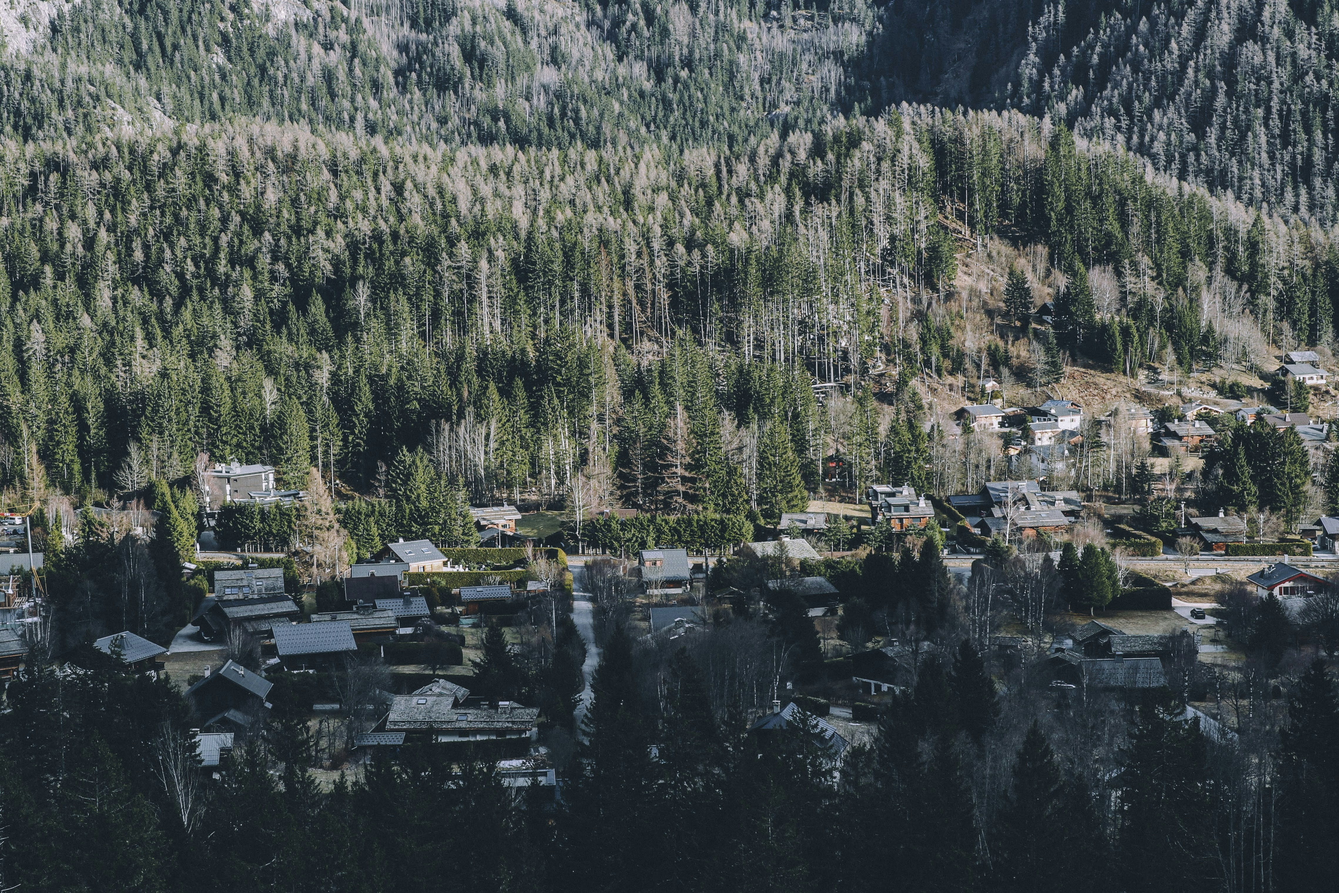 Photo by Giacomo Folli with Canon EOS M100