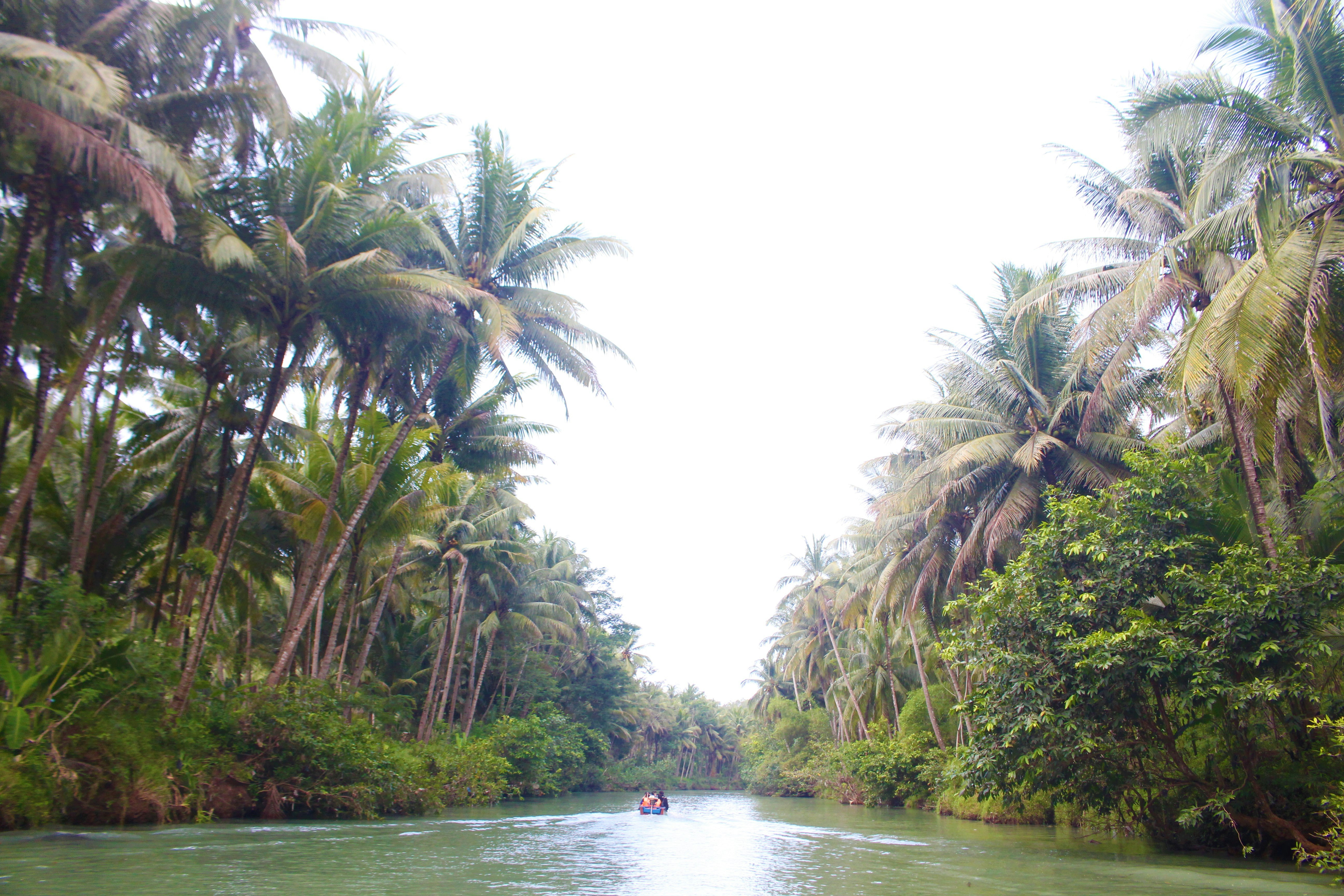 Boat gliding along a tropical river flanked by dense palm trees under a bright sky.