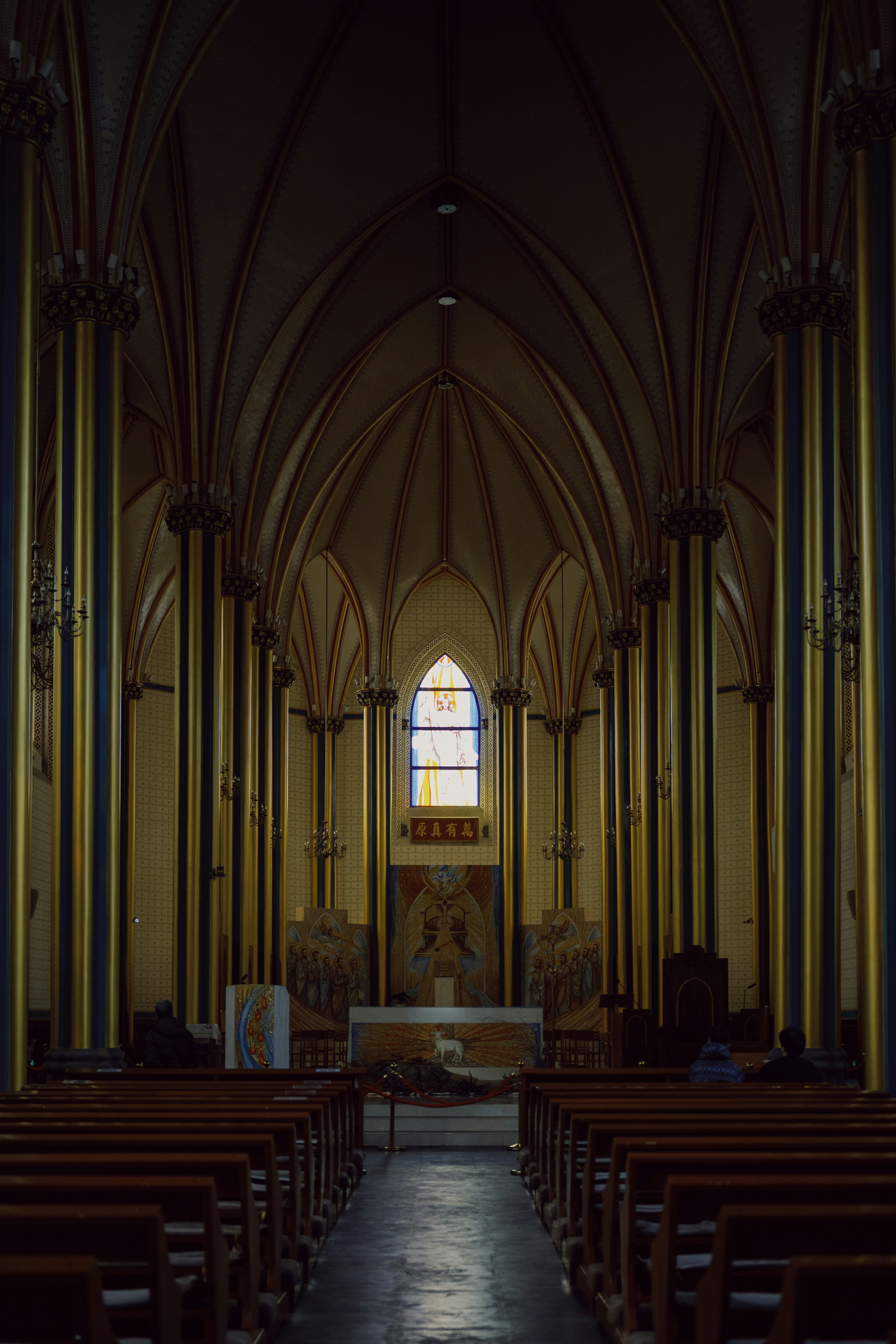 Photo by Kelsey He with Nikon Zf