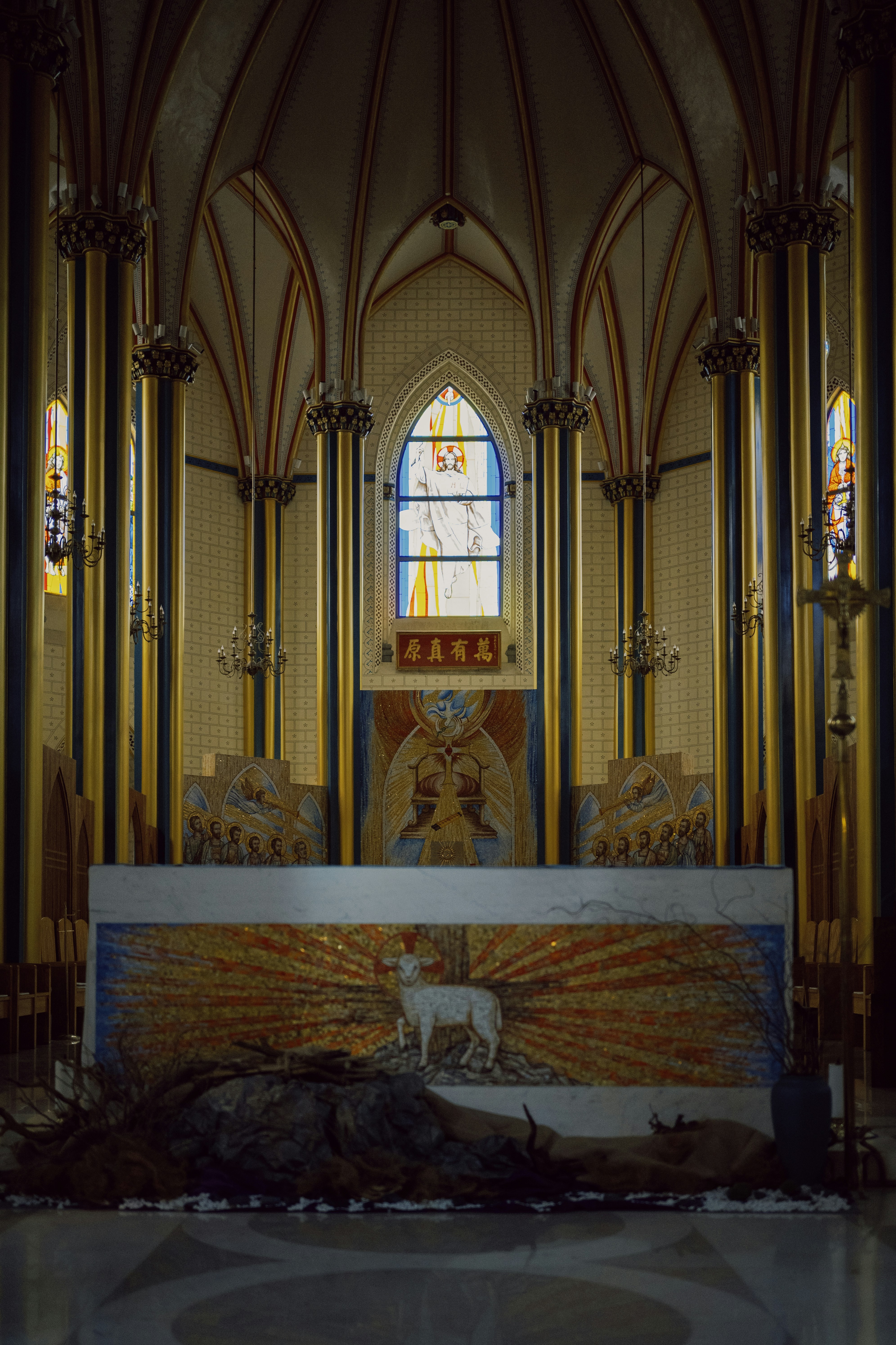 Photo by Kelsey He with Nikon Zf