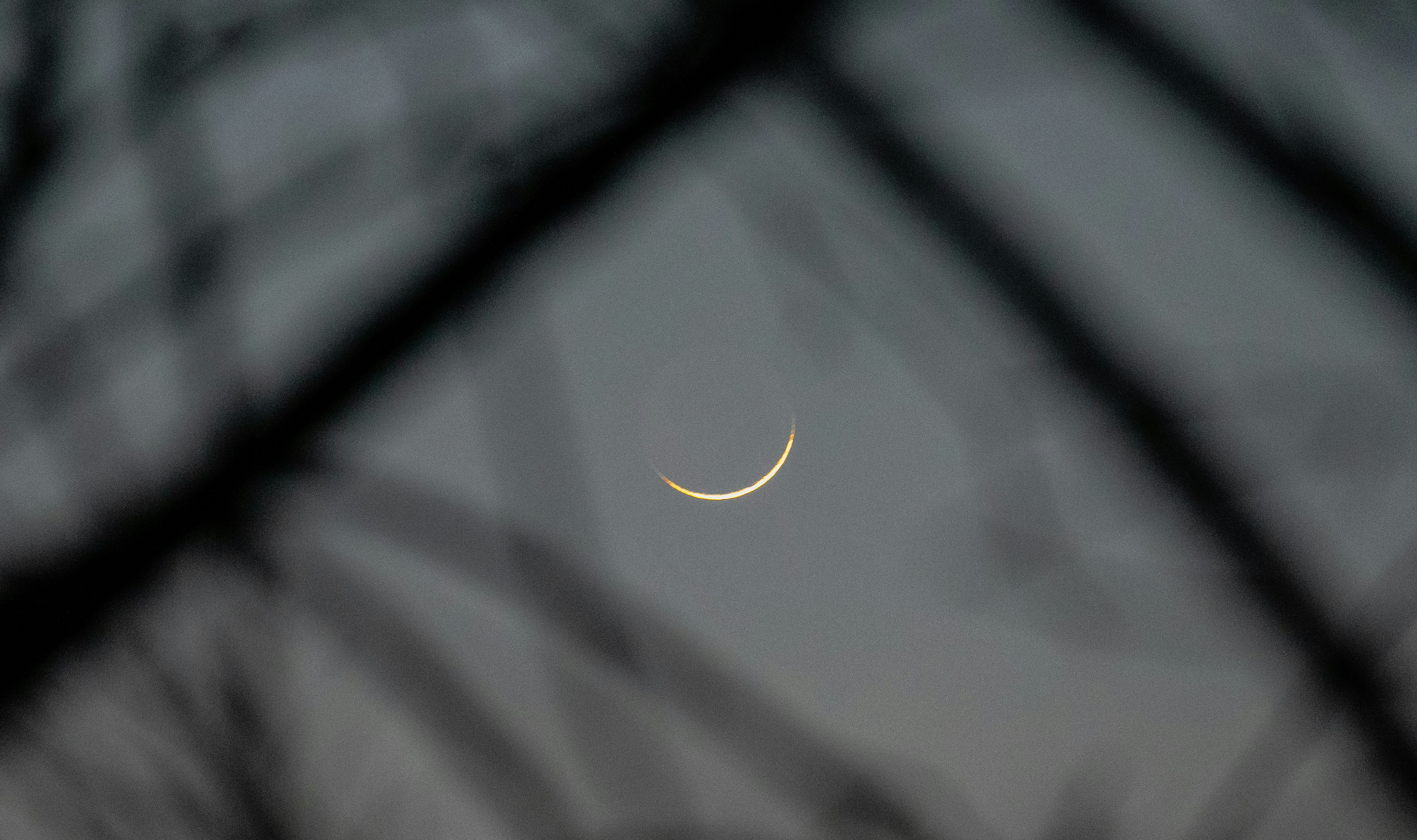 A crescent moon is seen through the branches of a tree photo – Free ...