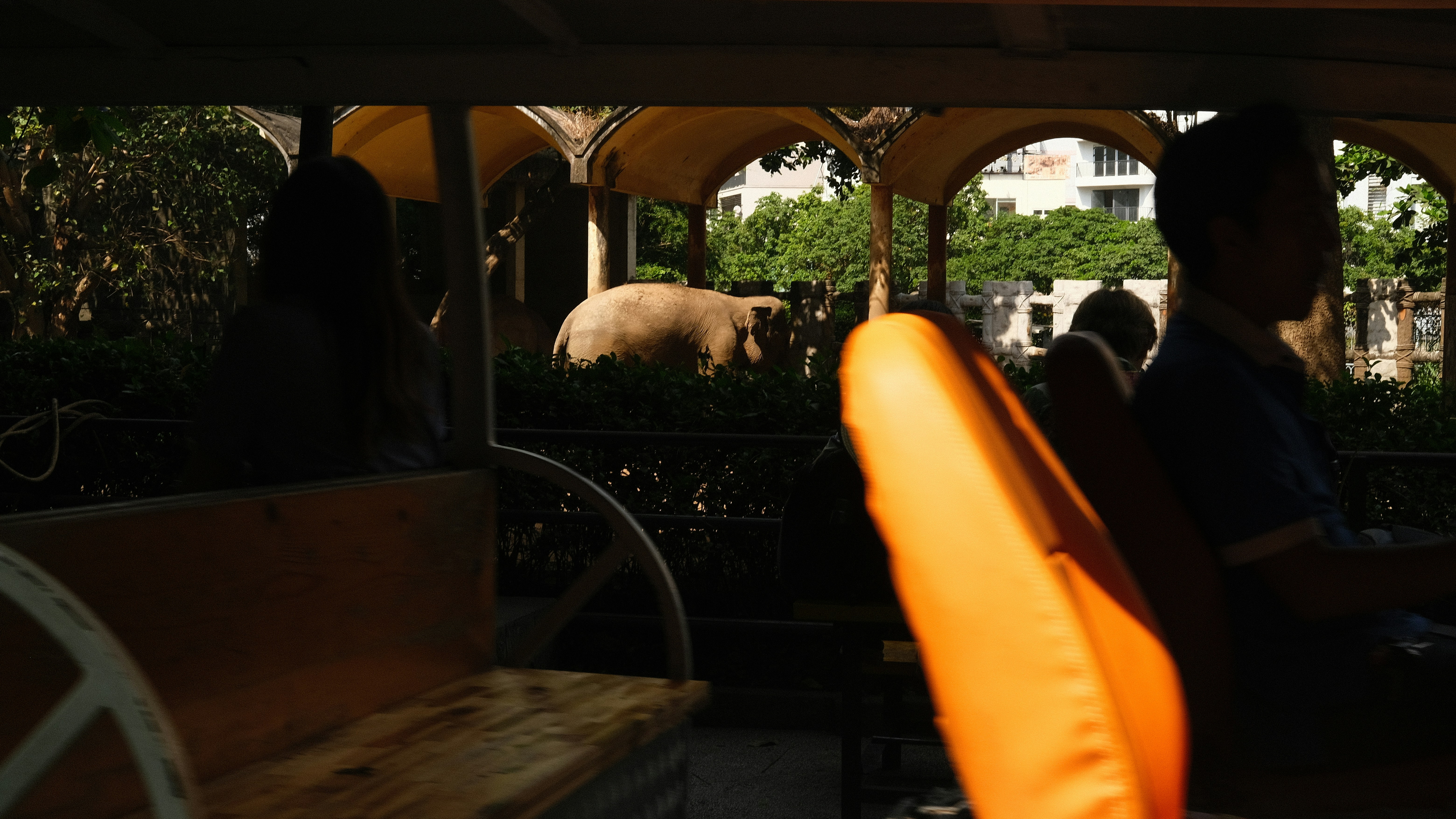 Bright Orange Seat Anchors a Shadowed Pavilion