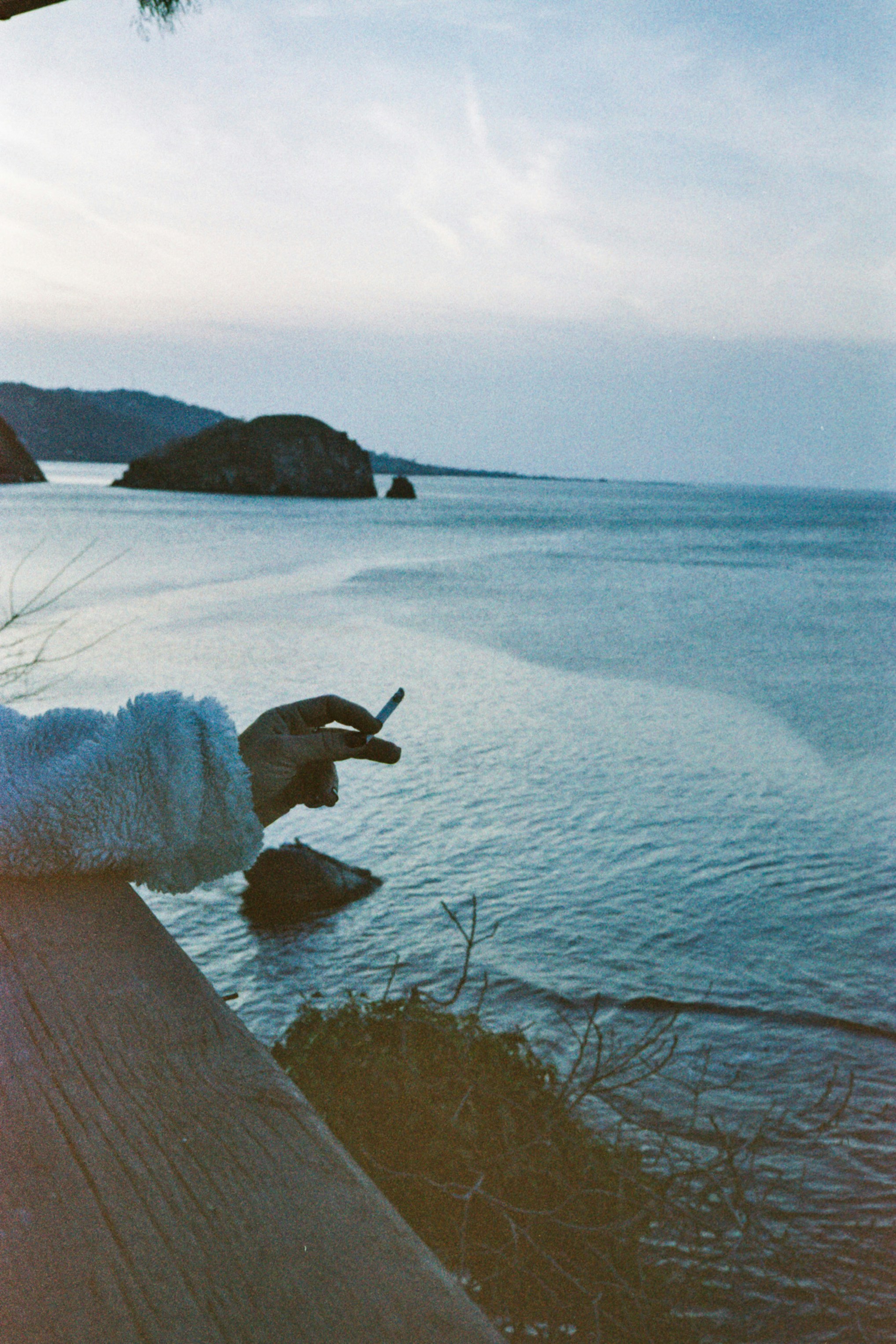Ilfocolor 400 Vintage Tone 🎞️