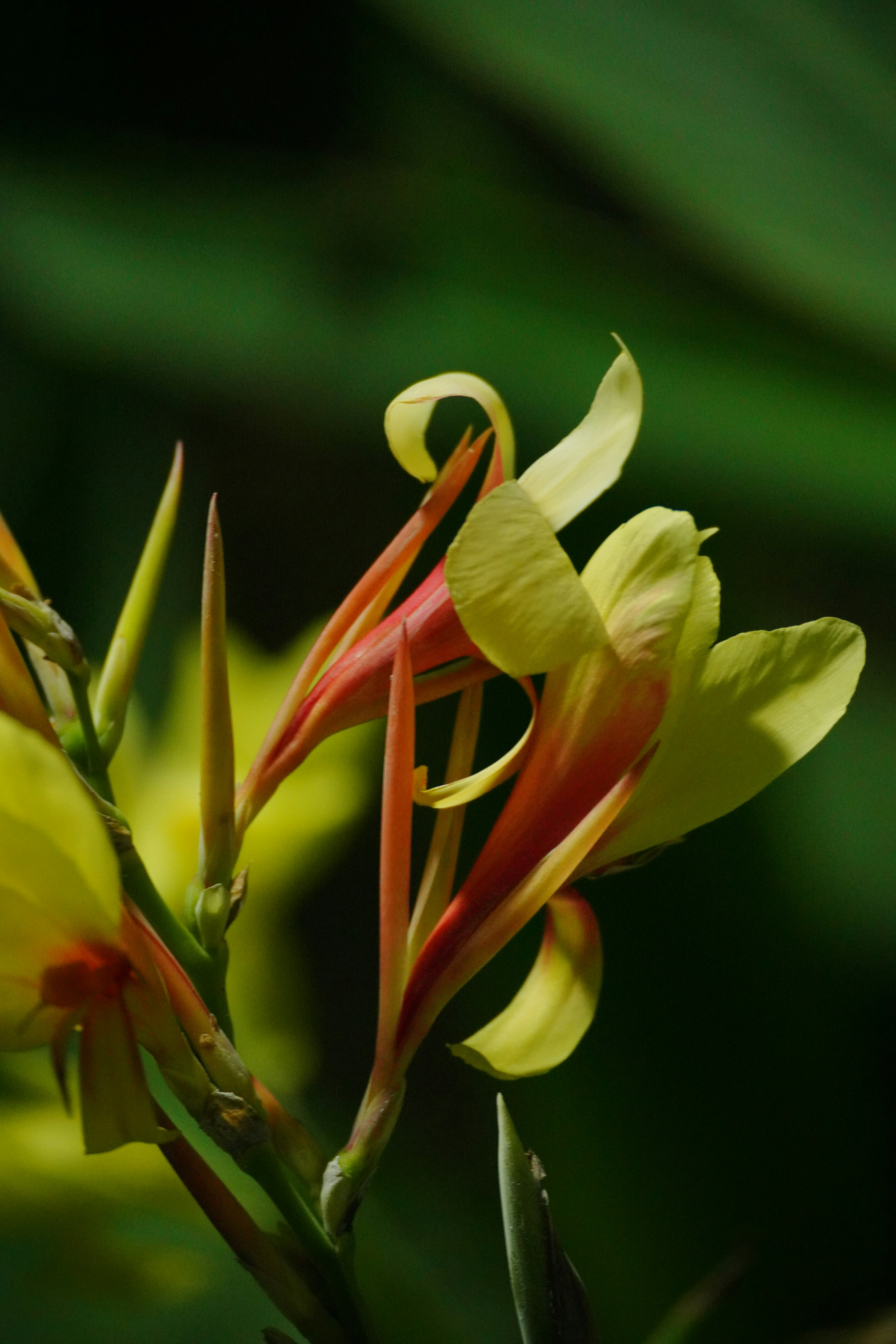 Photo by Will Qi with Sony Alpha 7R III