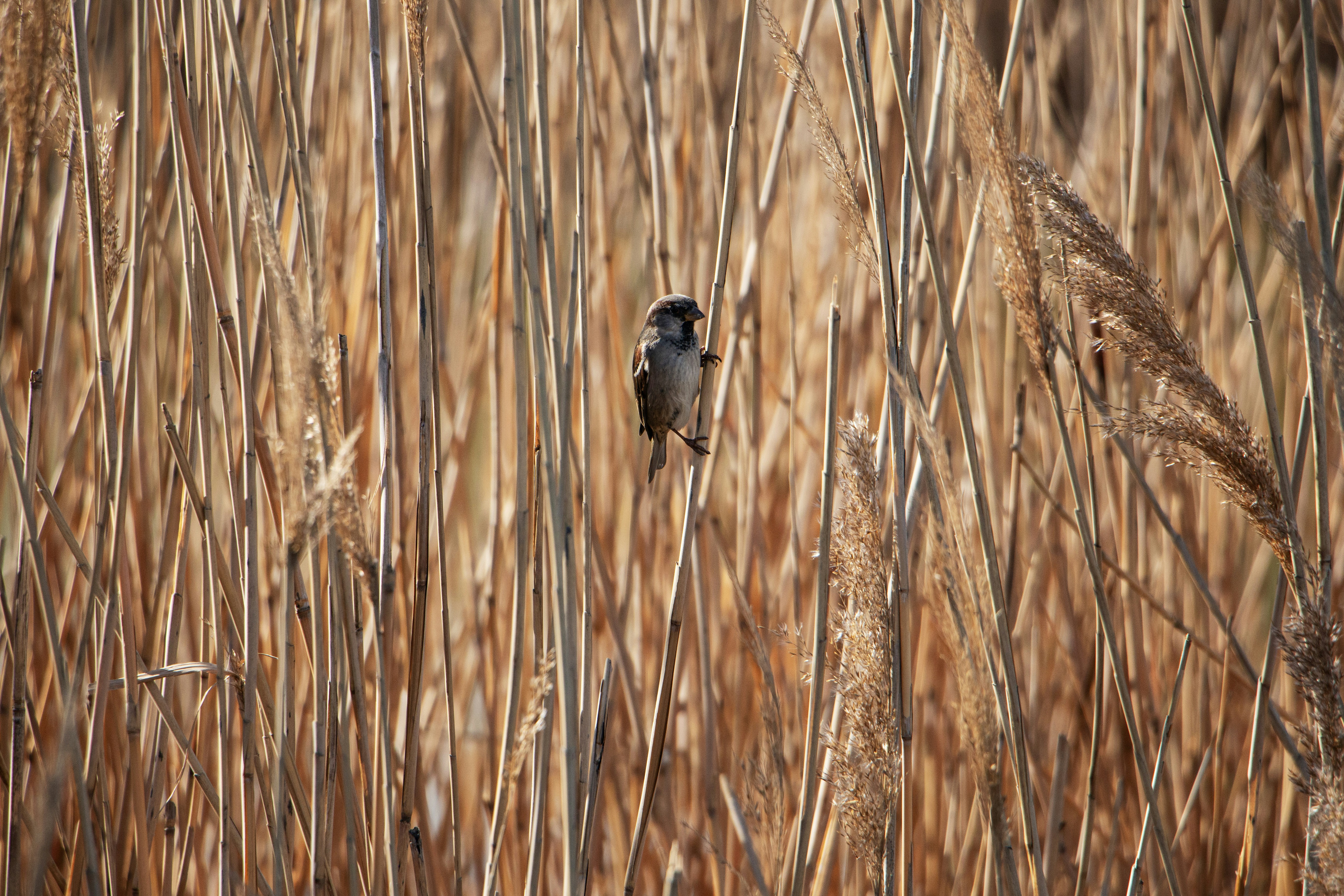 Photo by Stepan Konev with Canon EOS 70D