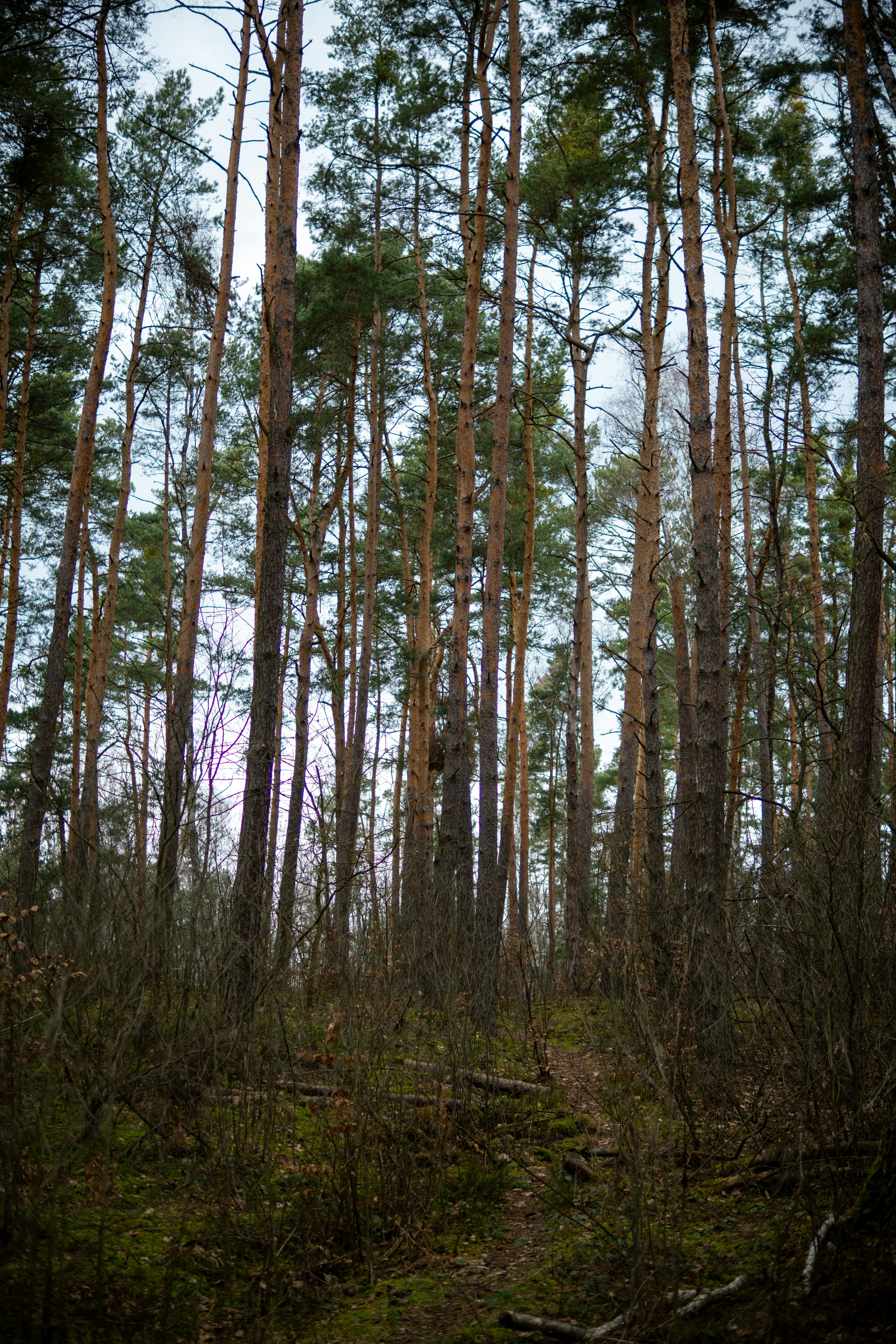 Photo by Michał Robak with Sony Alpha 6100