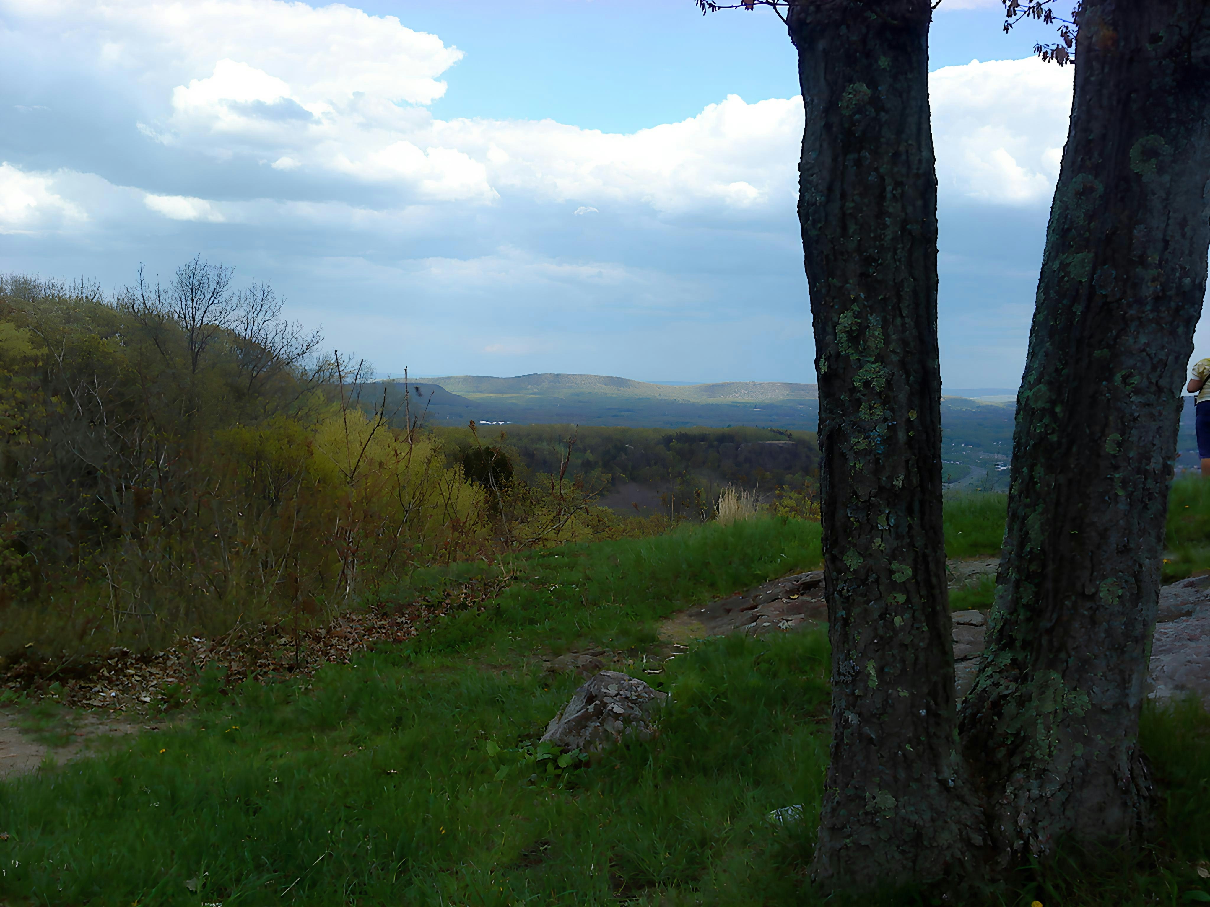 David Myers (@olly89) | Unsplash Photo Community