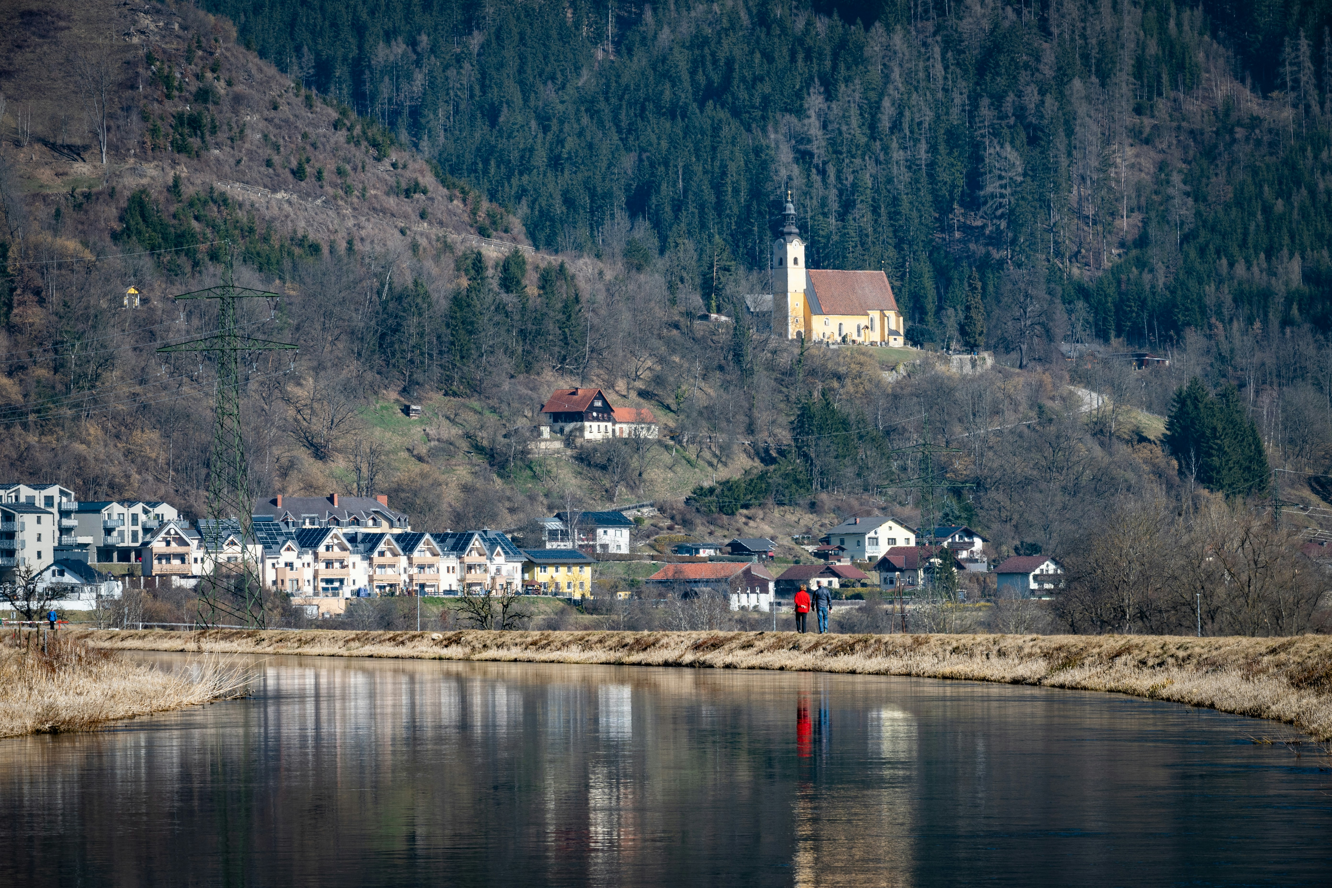 Photo by Laszlo Biro with Nikon Z50