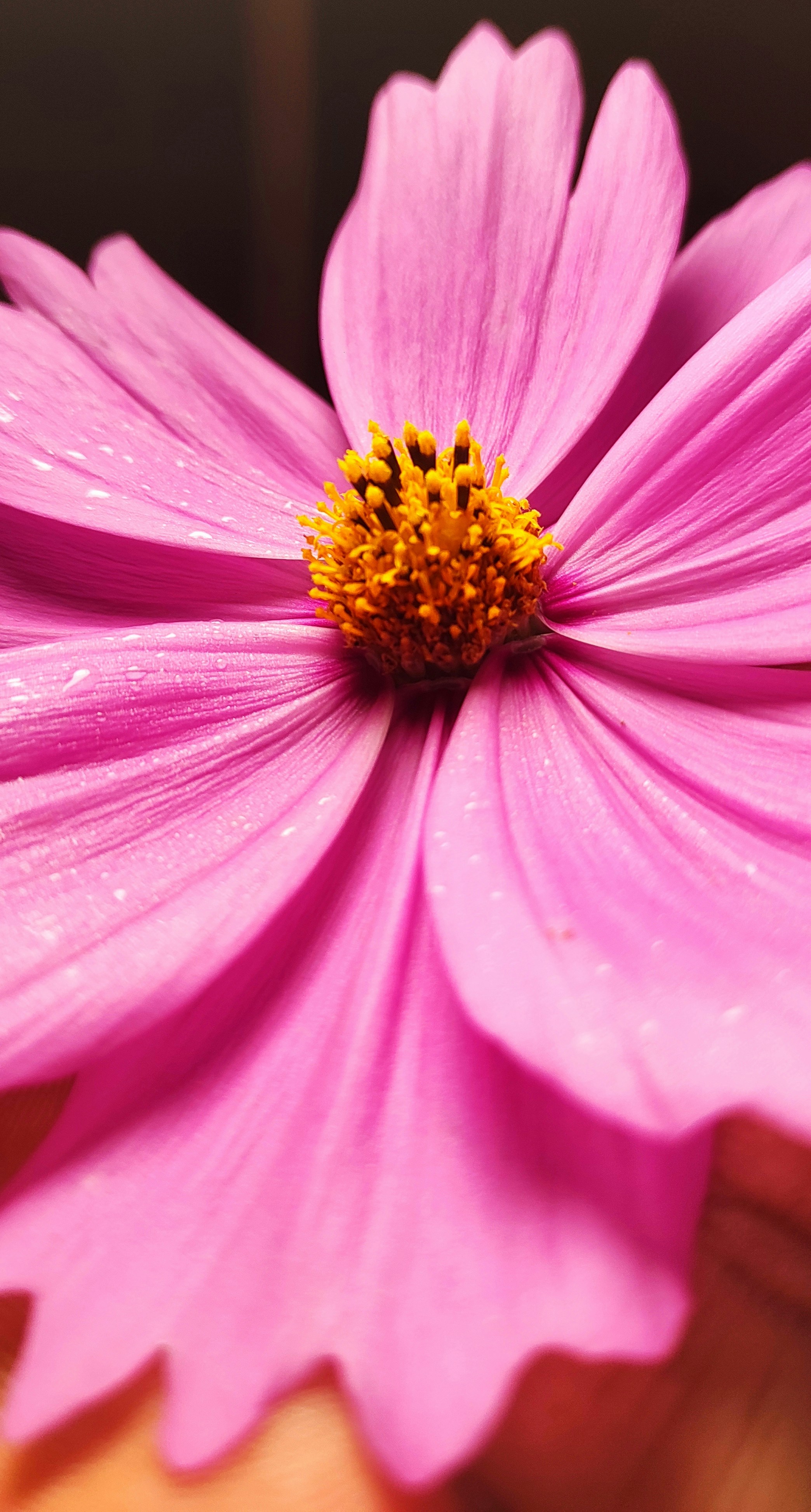 Photo by SUMIT CHAUDHARY with Xiaomi Redmi Note 9 Pro Max