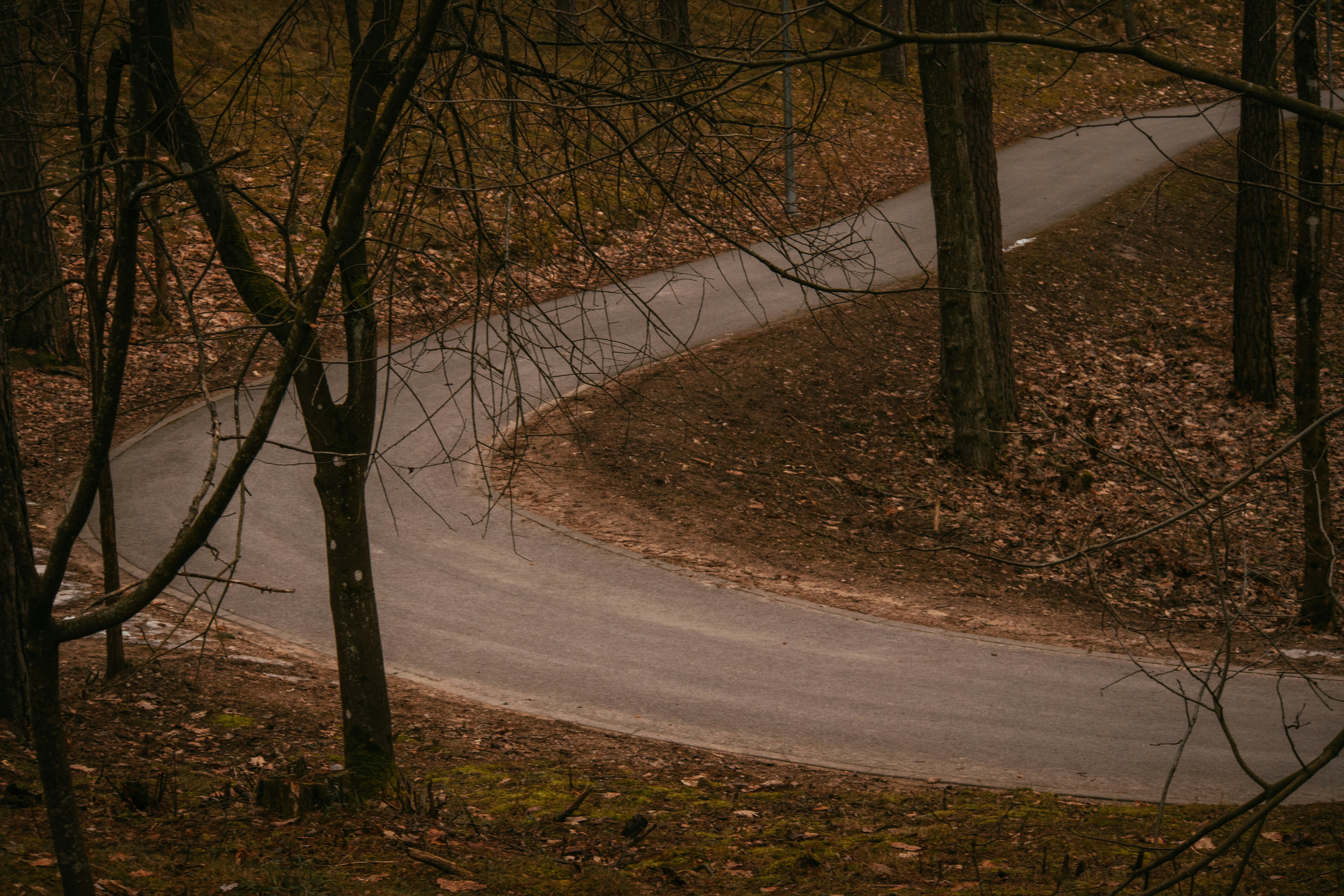 A winding road in the middle of a wooded area photo – Free Druskininkai ...
