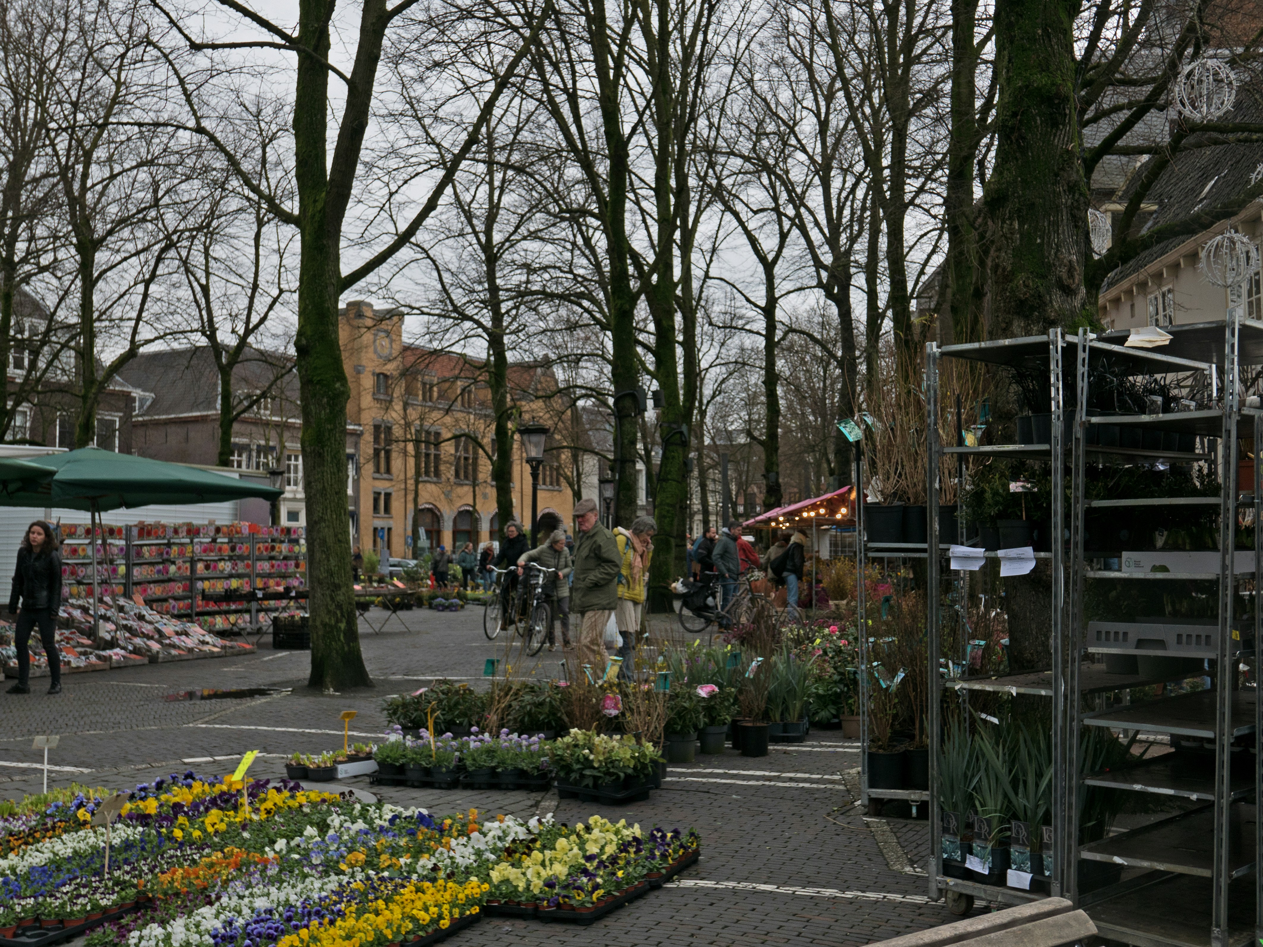 Free photo - view over the flower market in Utrecht city, on the town square Janskerkhof. It is Saturday, February. The square is fulll of bare trees with branche silhouettes against the light grey sky. Street photography in Utrecht, The Netherlands by Fons Heijnsbroek; free download photo. This old town image is shared in suitable resolutions for making a poster, digital print or wallpaper. Gratis foto Utrecht - bloemenmarkt op het Janskerkhof, in winter, met kale bomen en bloeiende bloemen op de markt. Gratis download foto - straatfotografie van stad in Nederland, fotograaf Fons Heijnsbroek