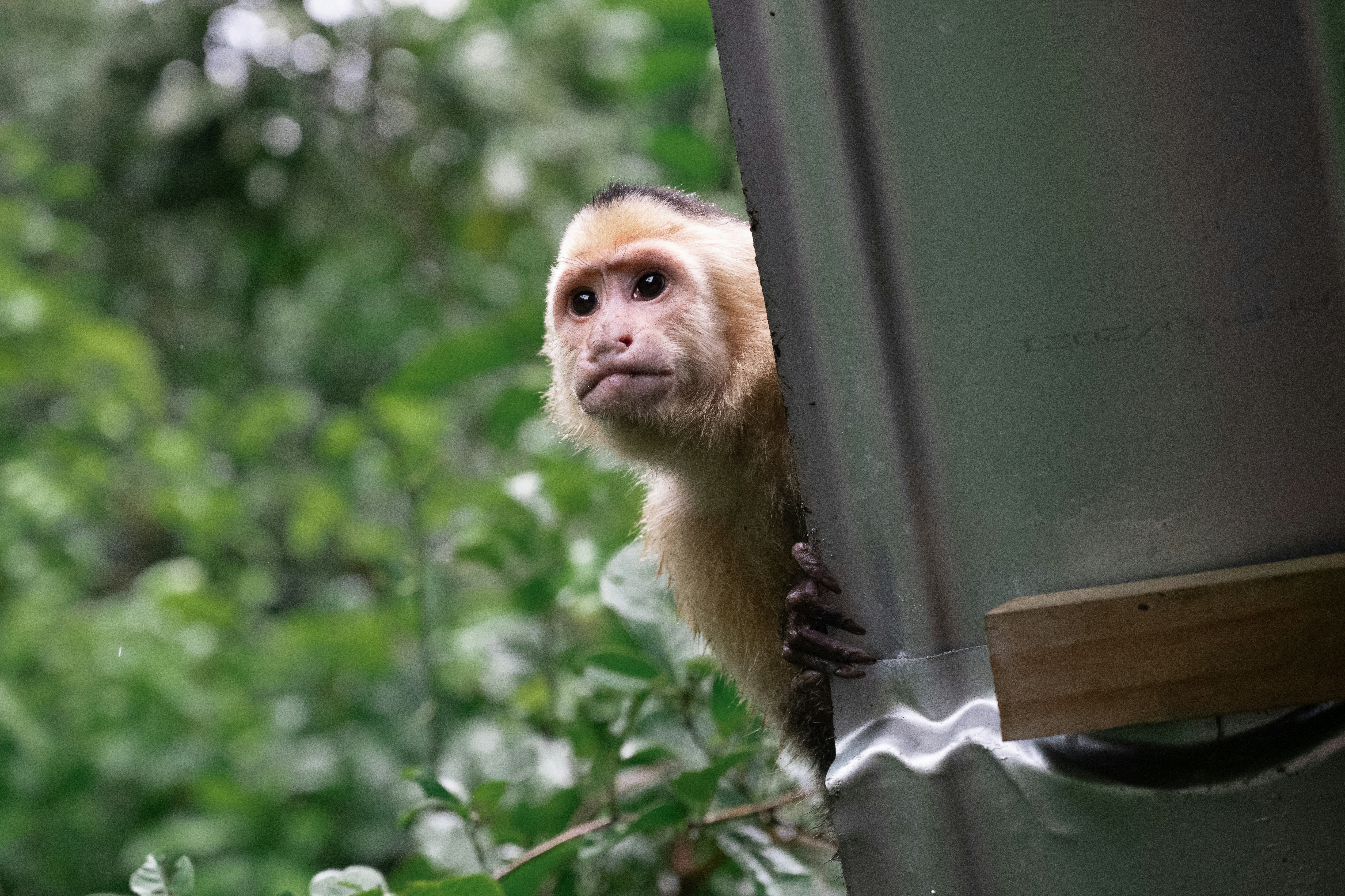 Photo by Felix Hanspach with Nikon Z7 II