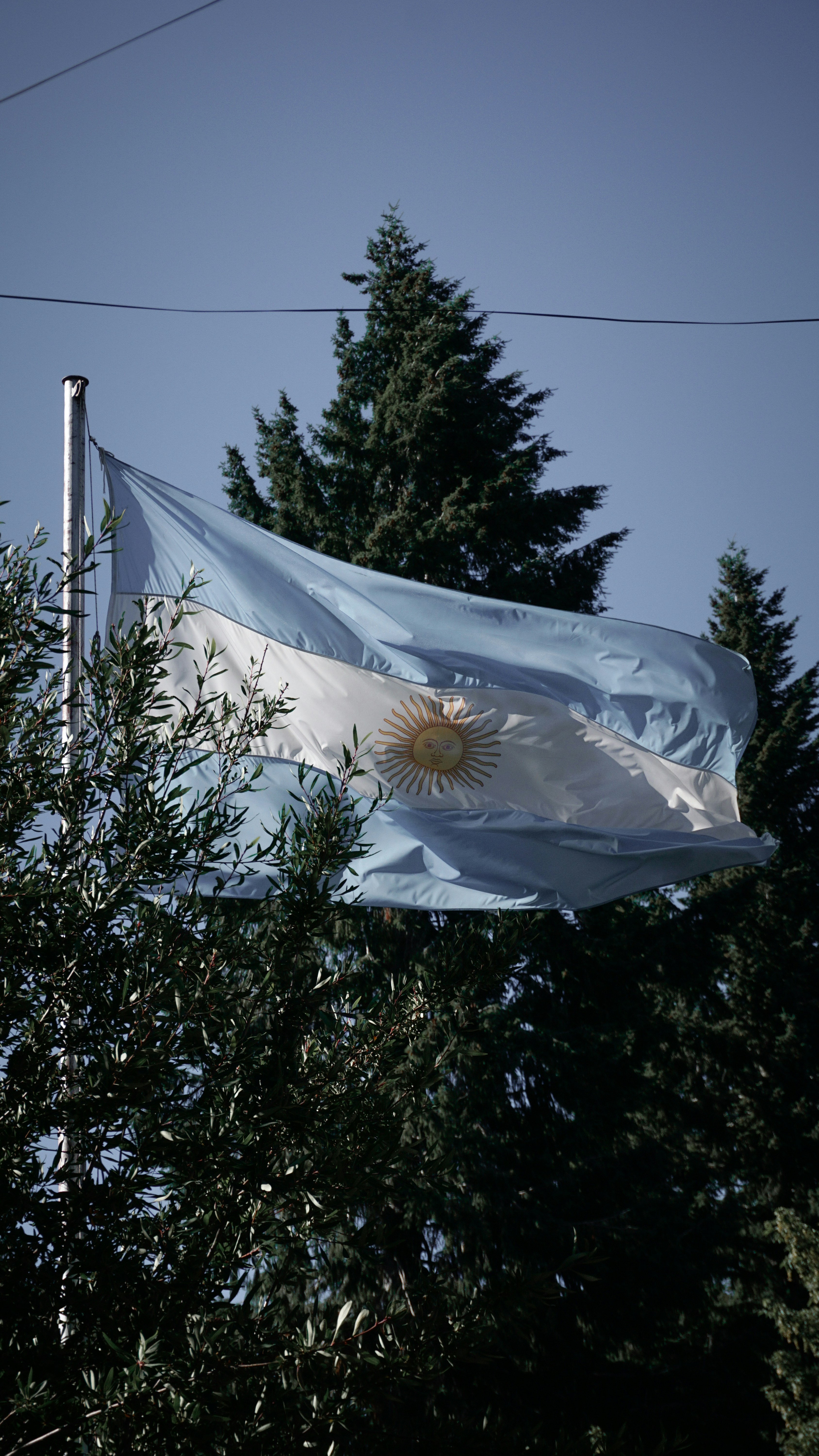 Bandera De Argentina Ondeando En El Viento