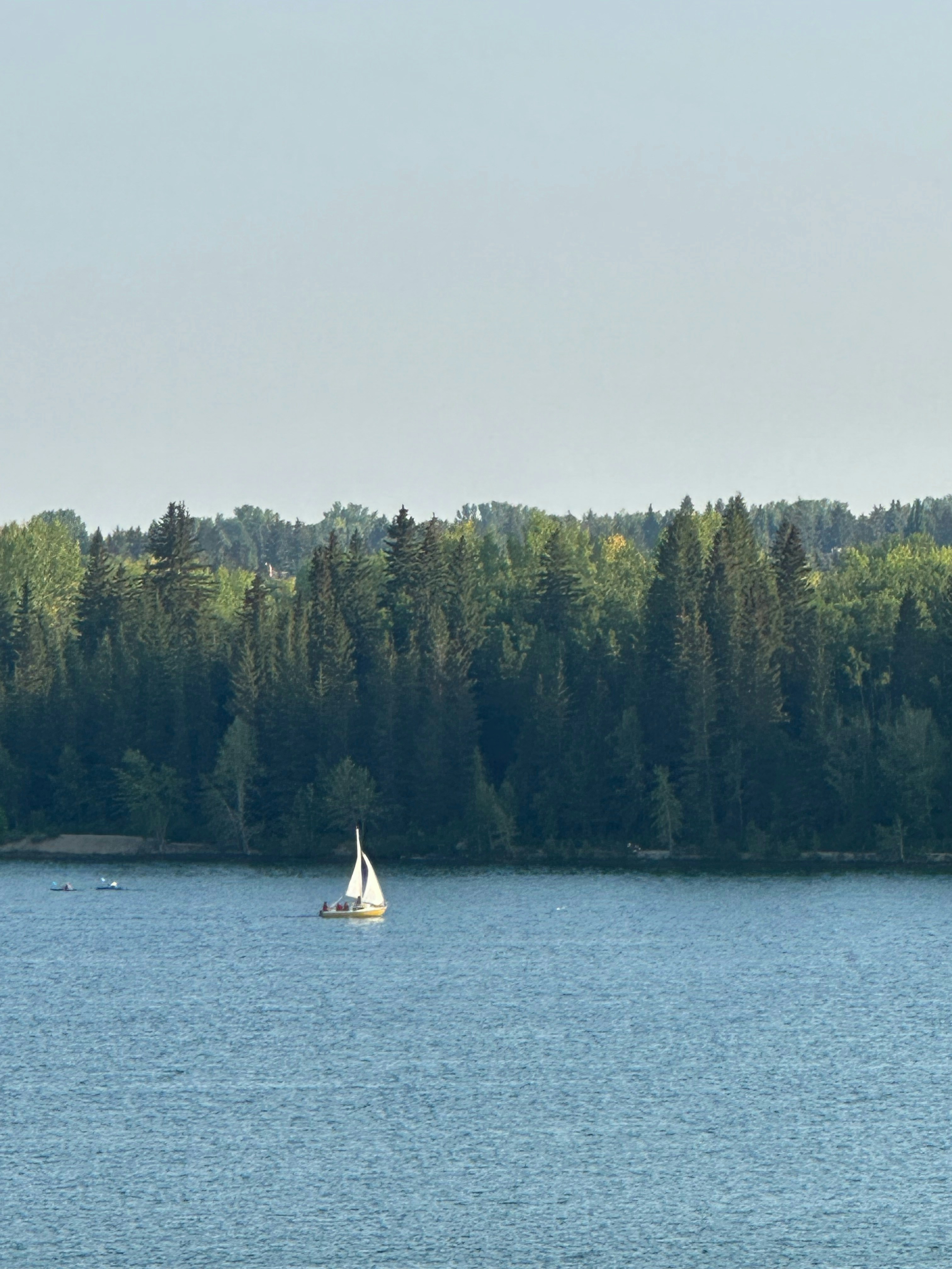 A sailboat on a lake with trees in the background photo – Free Calgary ...