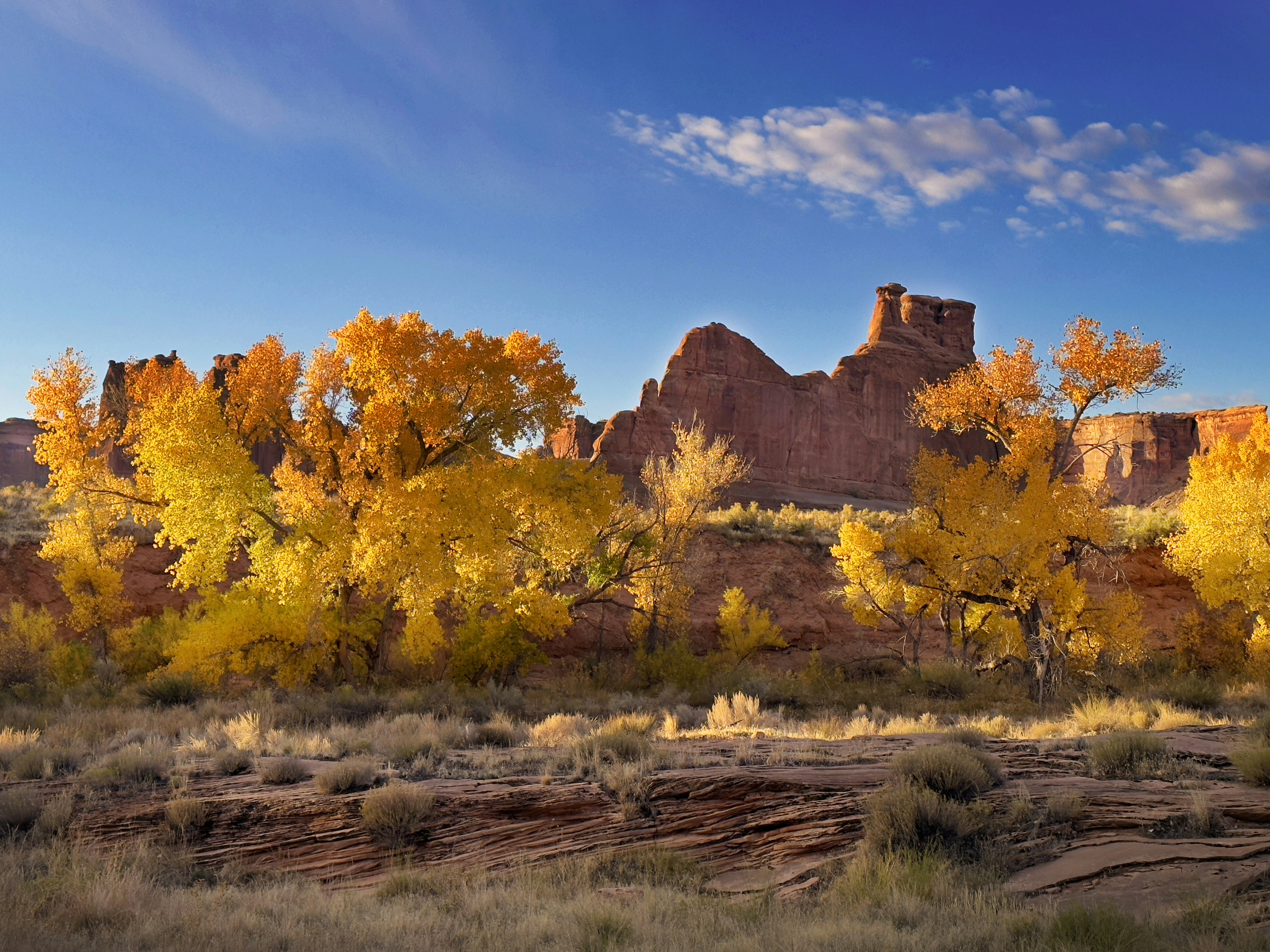 Vibrant autumn trees line a rugged desert landscape with red rock formations under a clear blue sky. A serene, wide-angle scene emphasizing color and geology.