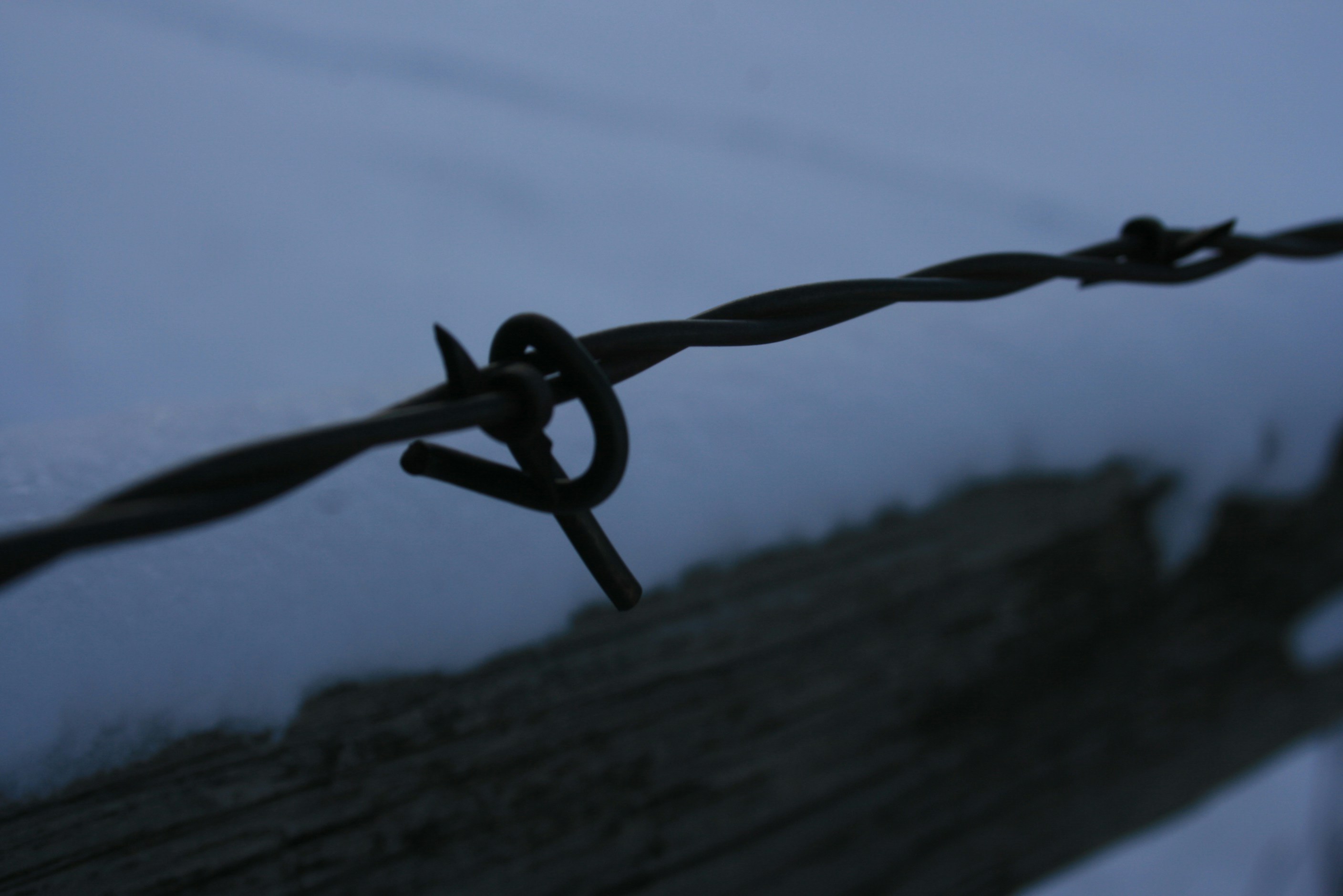 Knot in the Cold: A Close-Up of Barbed Wire Against a Snowy Blue Backdrop