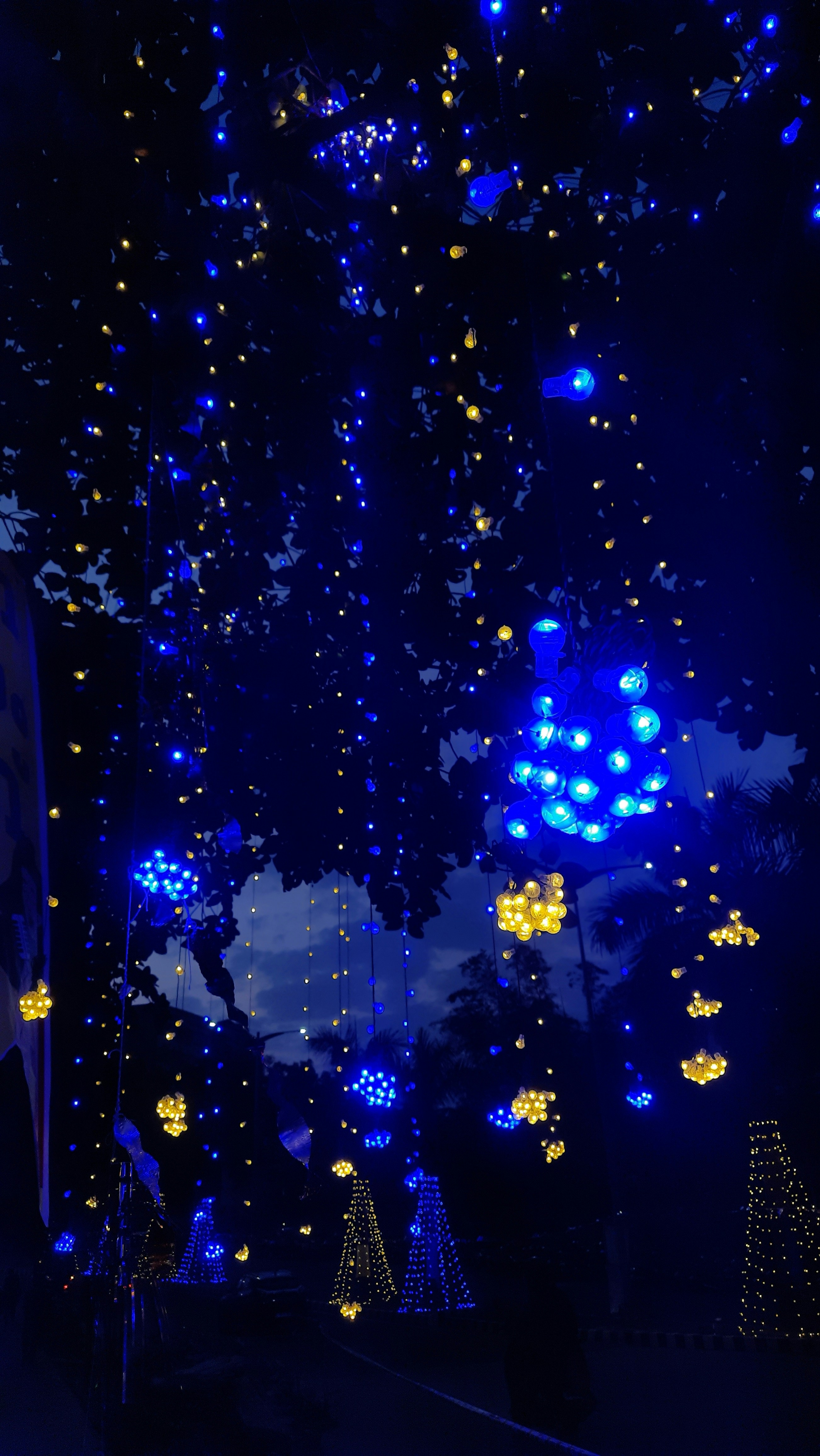 Cerulean Canopy: A Night Walk Under Blue Orbs and Golden Ornaments