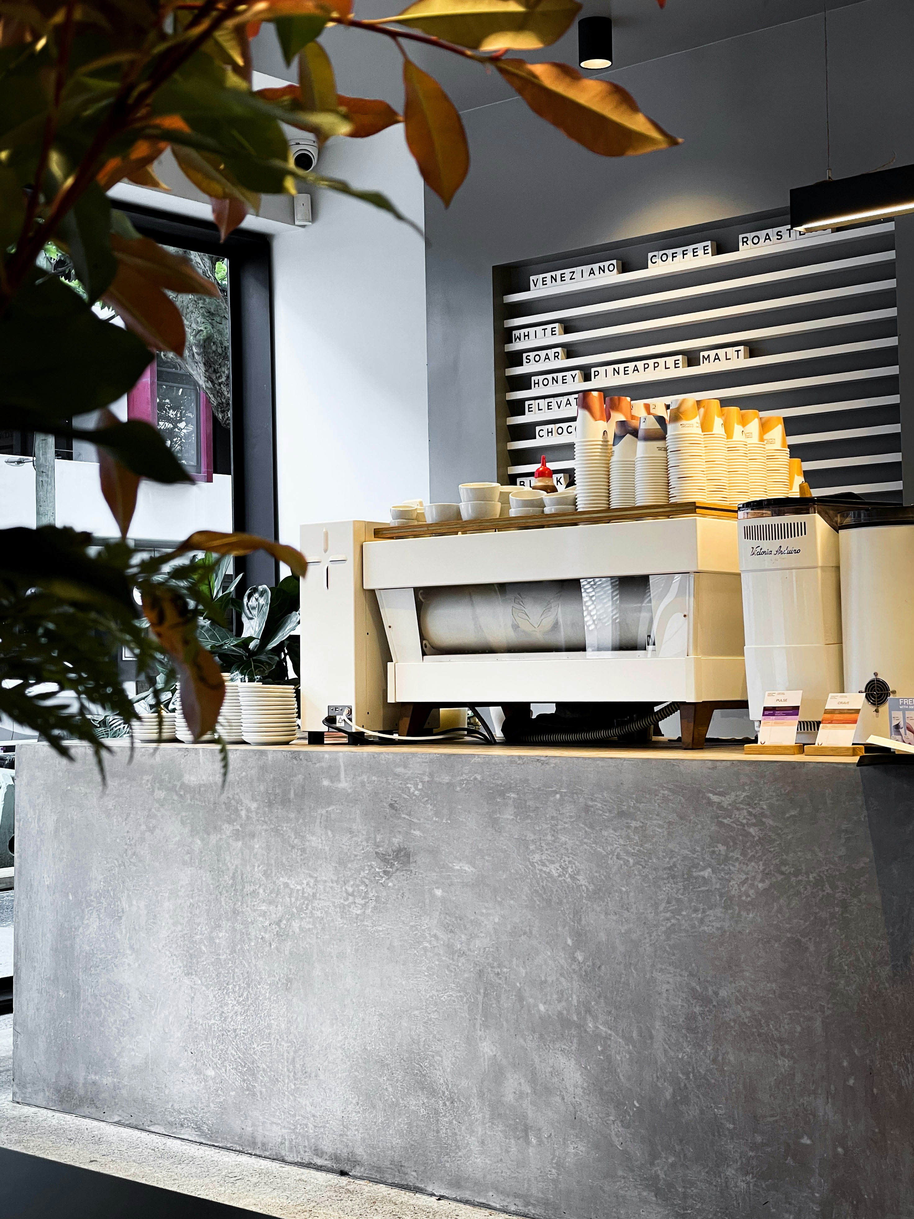 A counter that has some cups on it photo – Free Sydney nsw Image on ...