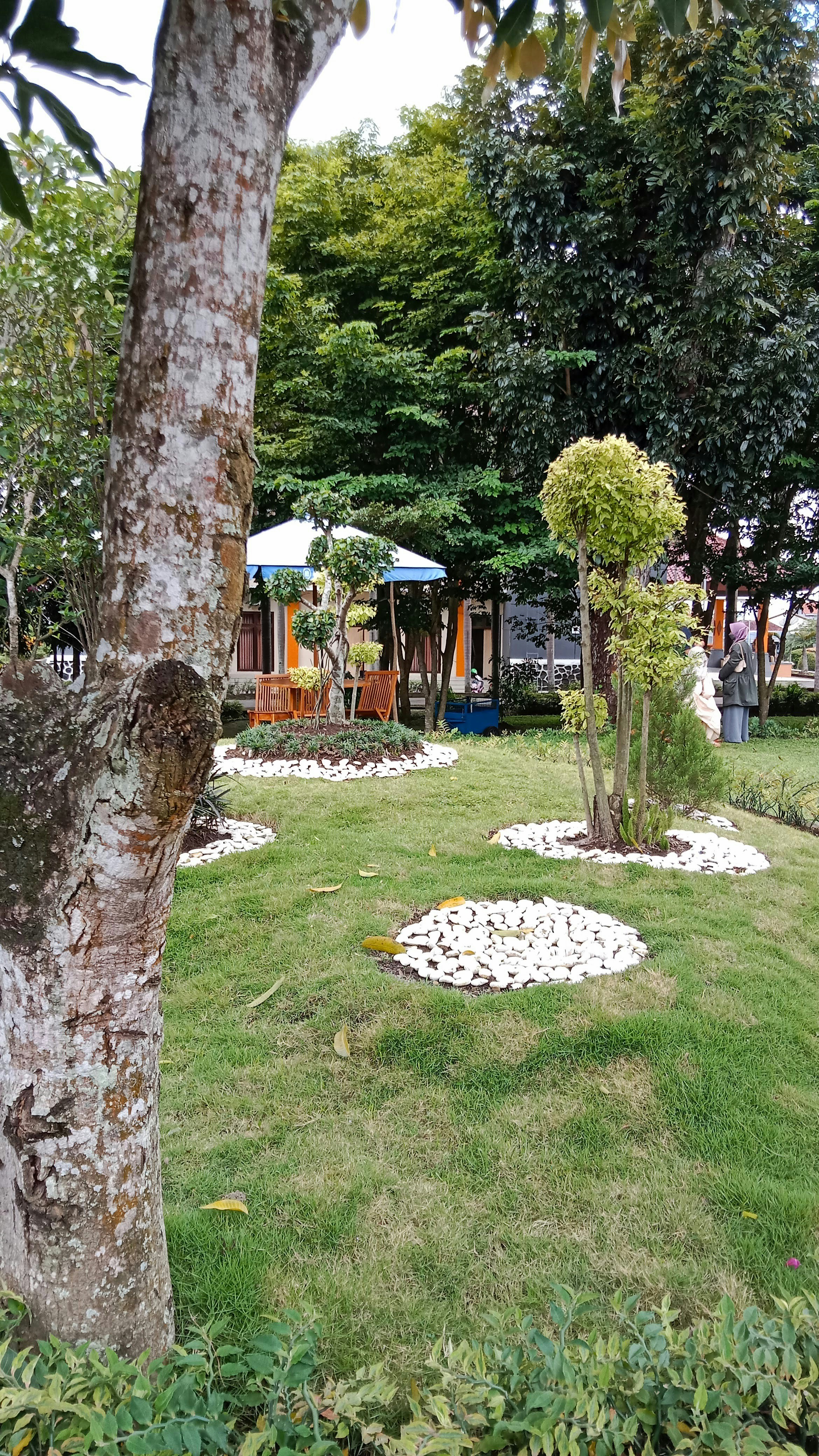 Hi. This image is a view of front yard of hospital canteen. Consider to support my work with $1 donation at PayPal (link in bio!) thank you! Citing the image URL when you use it is highly appreciated! Also let me know if you like my image, thank you. Happy scrolling! Inna