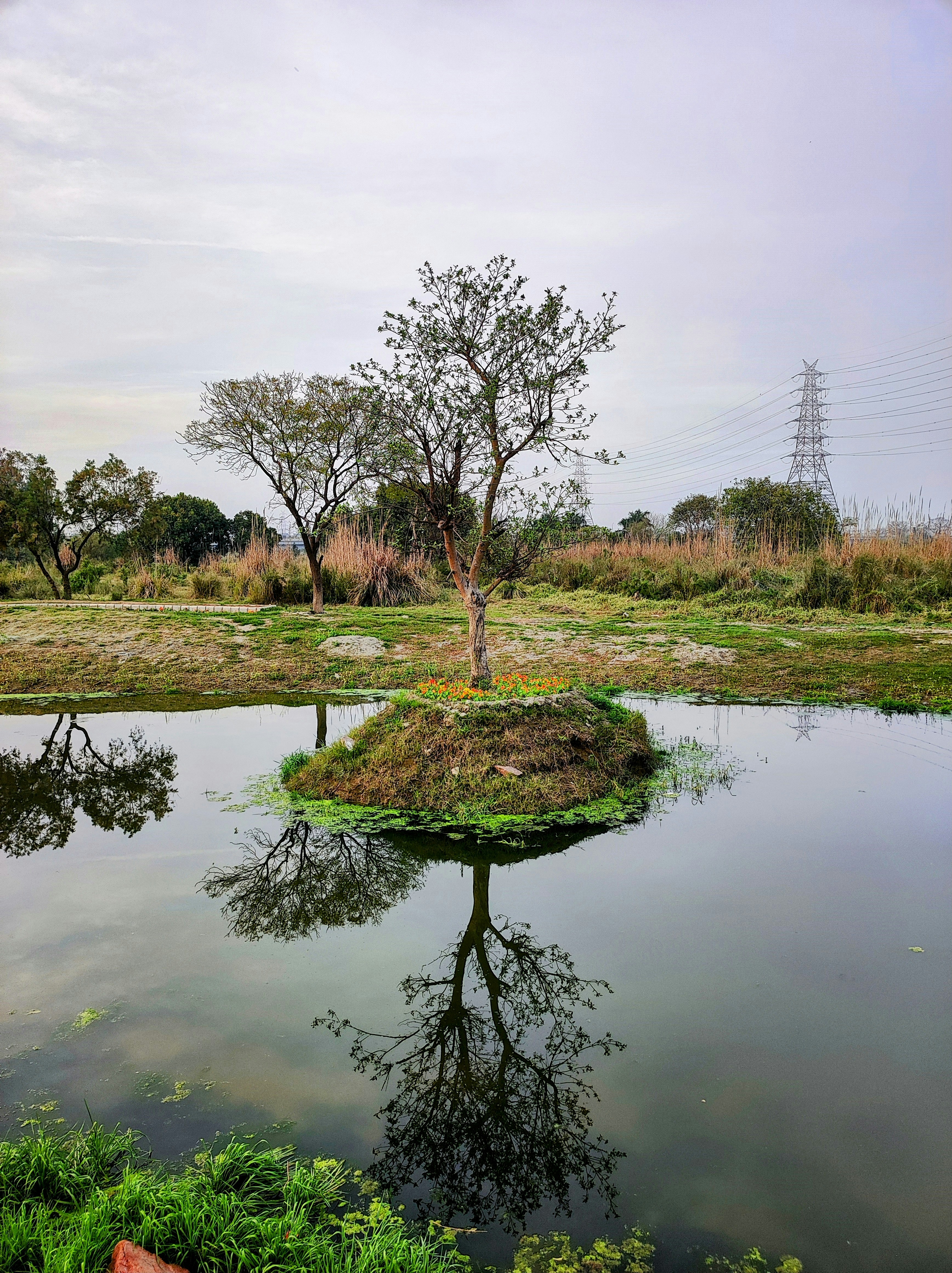 Photo by DINESH SINGH PANWAR with Xiaomi Mi 11 Lite NE