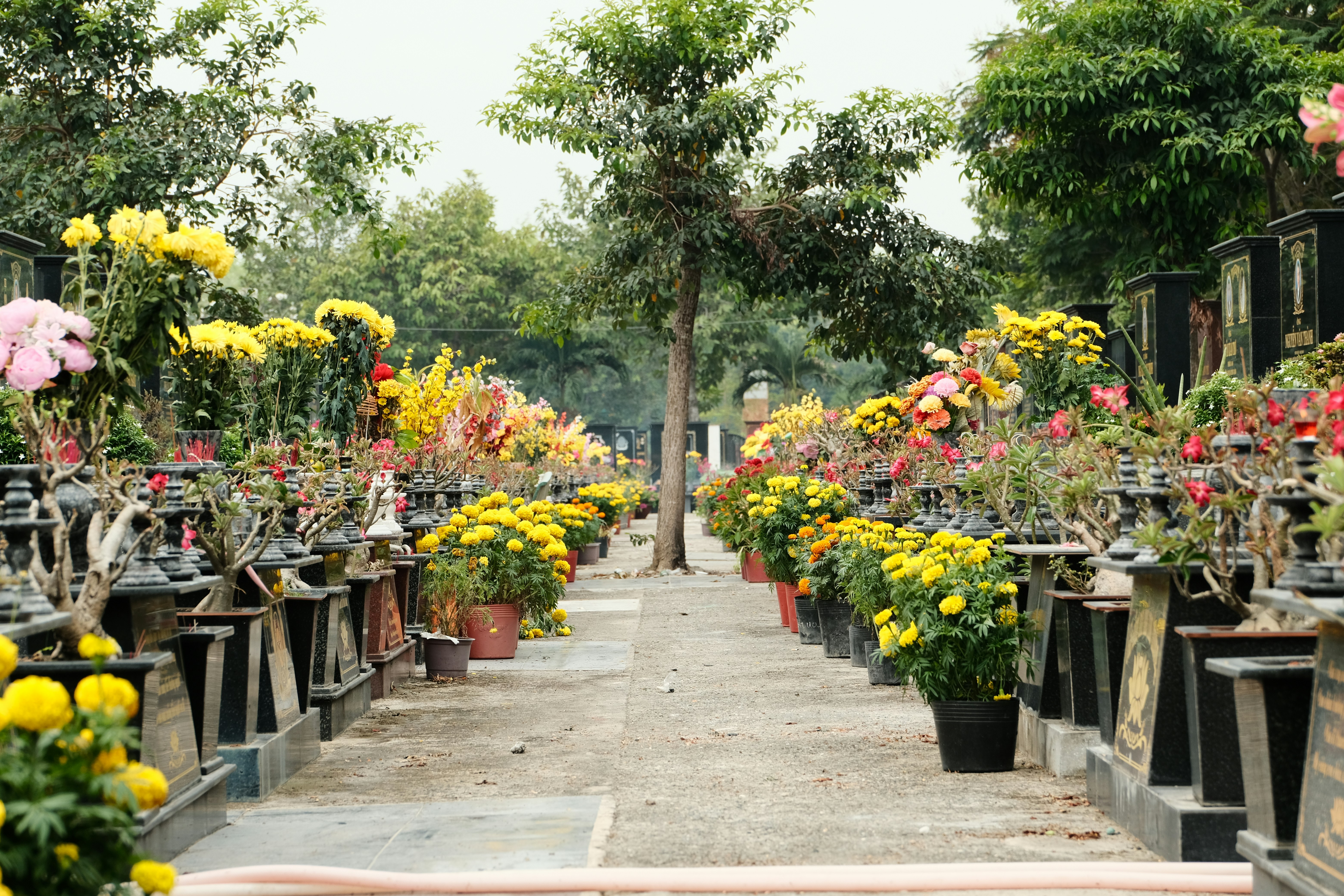 A Quiet Aisle Between Colorful Memorials