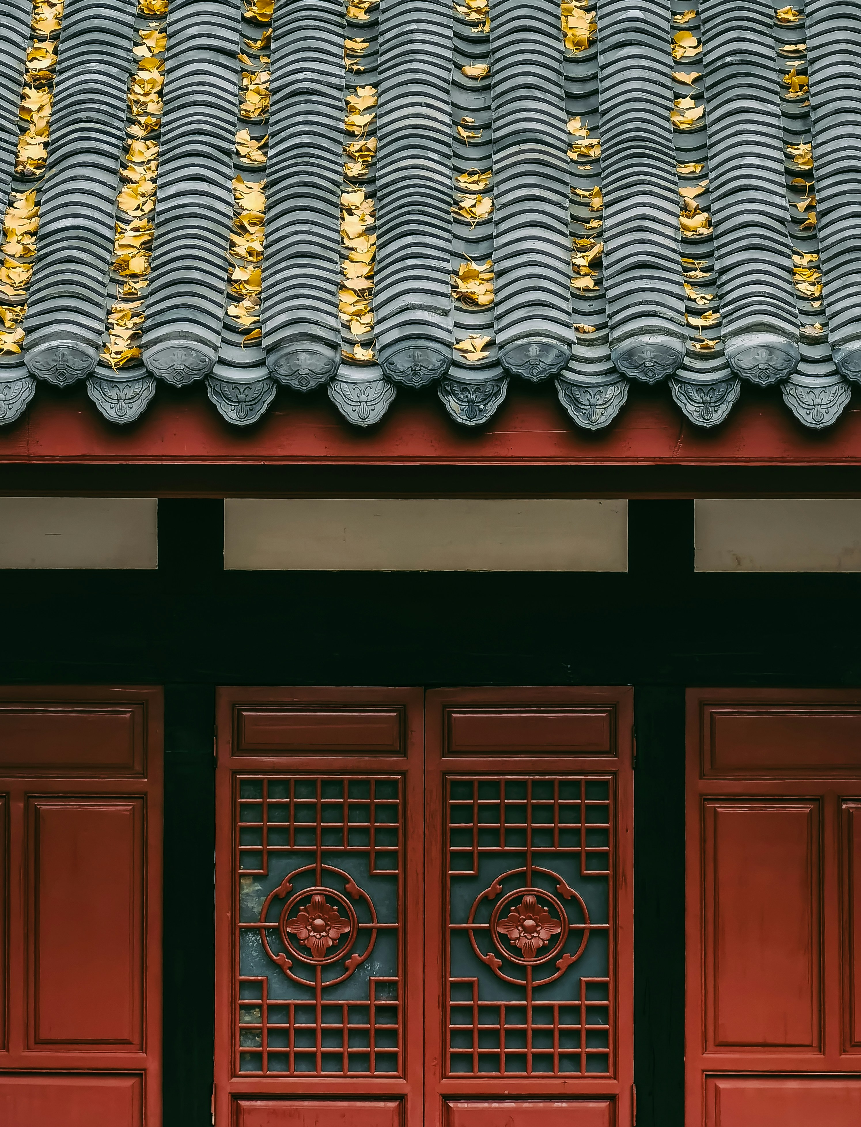 Photo by wu yi with Huawei P40 Pro Plus