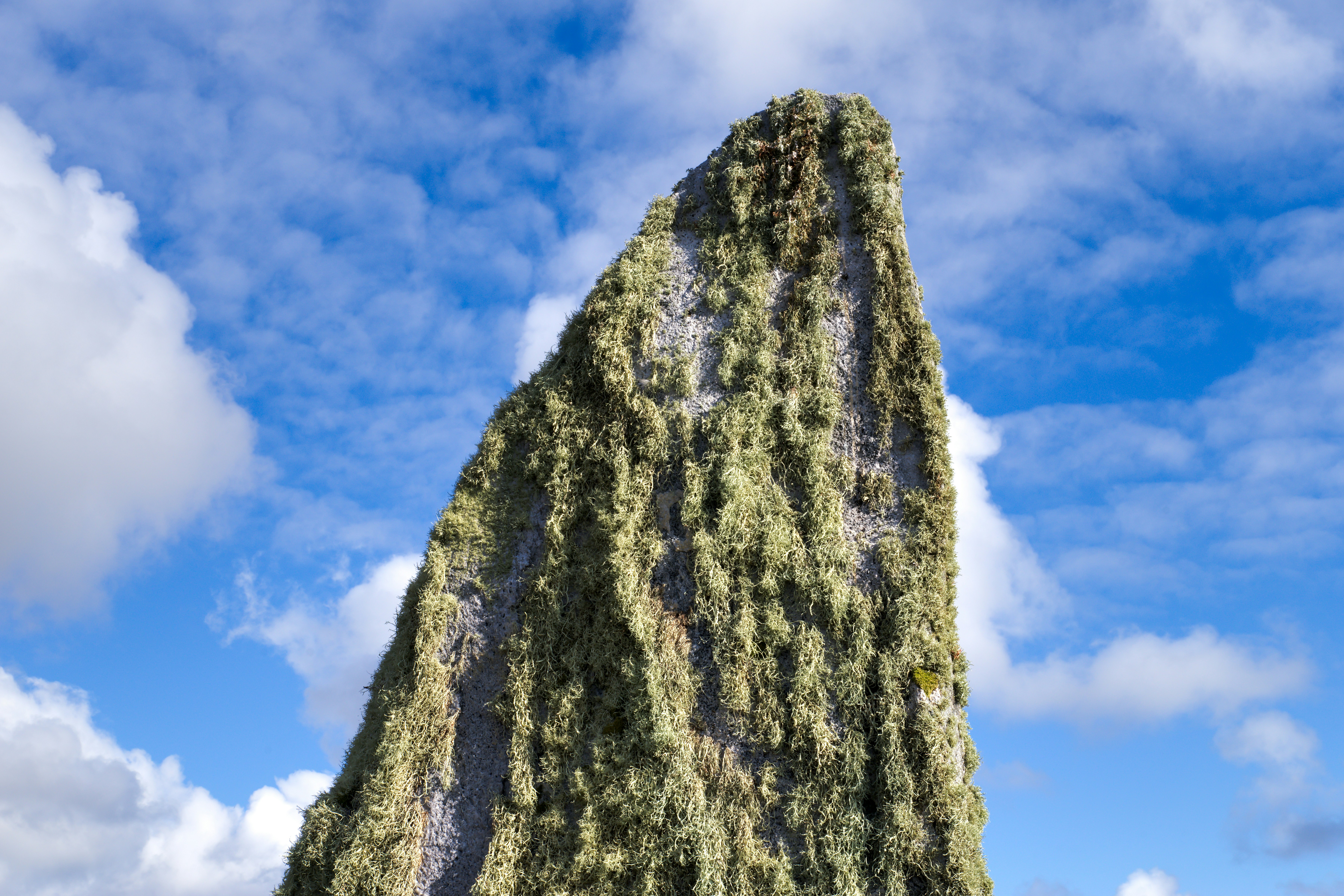 Moss-Crowned Spire Ascending into a Cerulean Sky