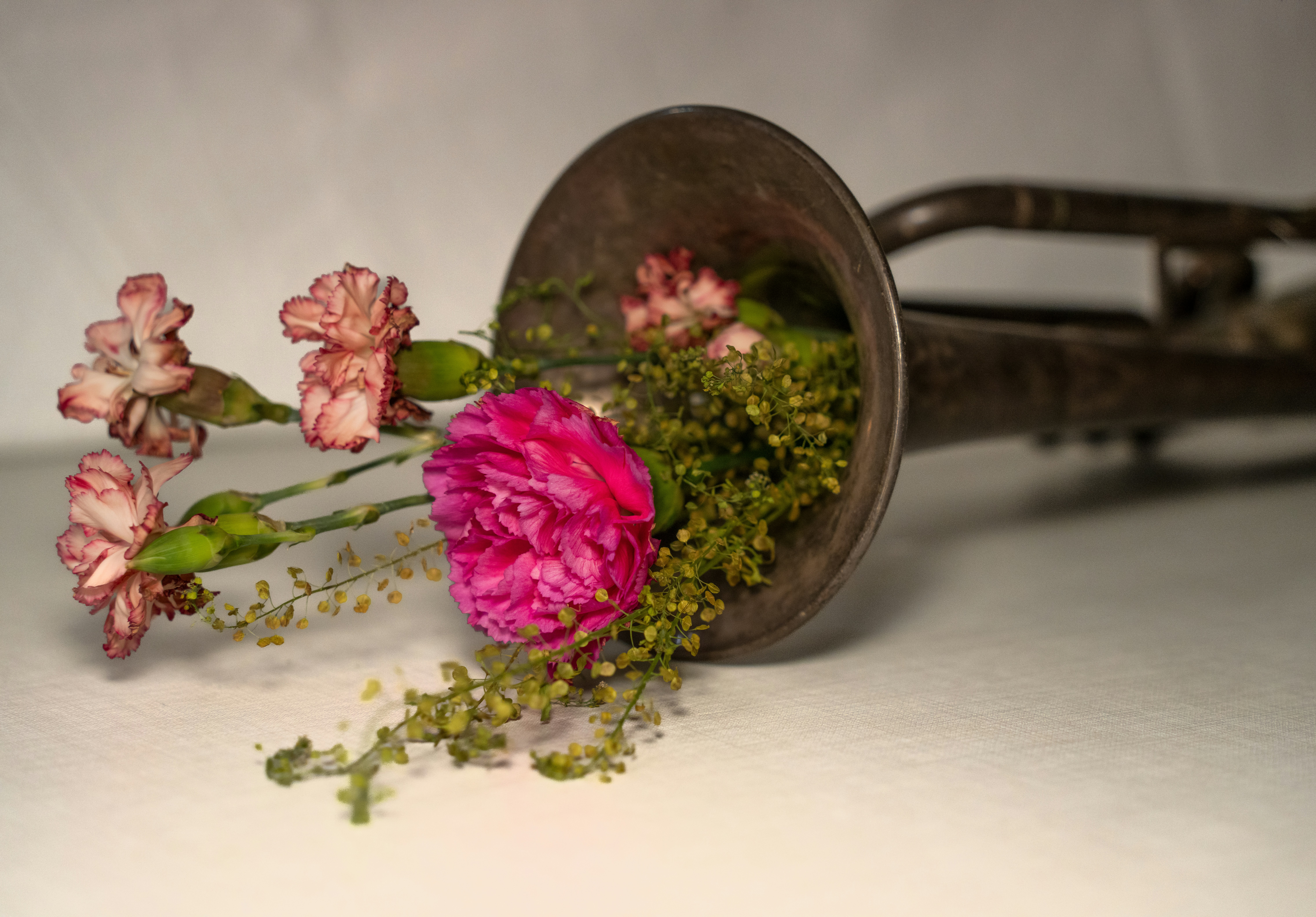 Carnation Cascade: a Bright Bloom Spilling from a Weathered Funnel