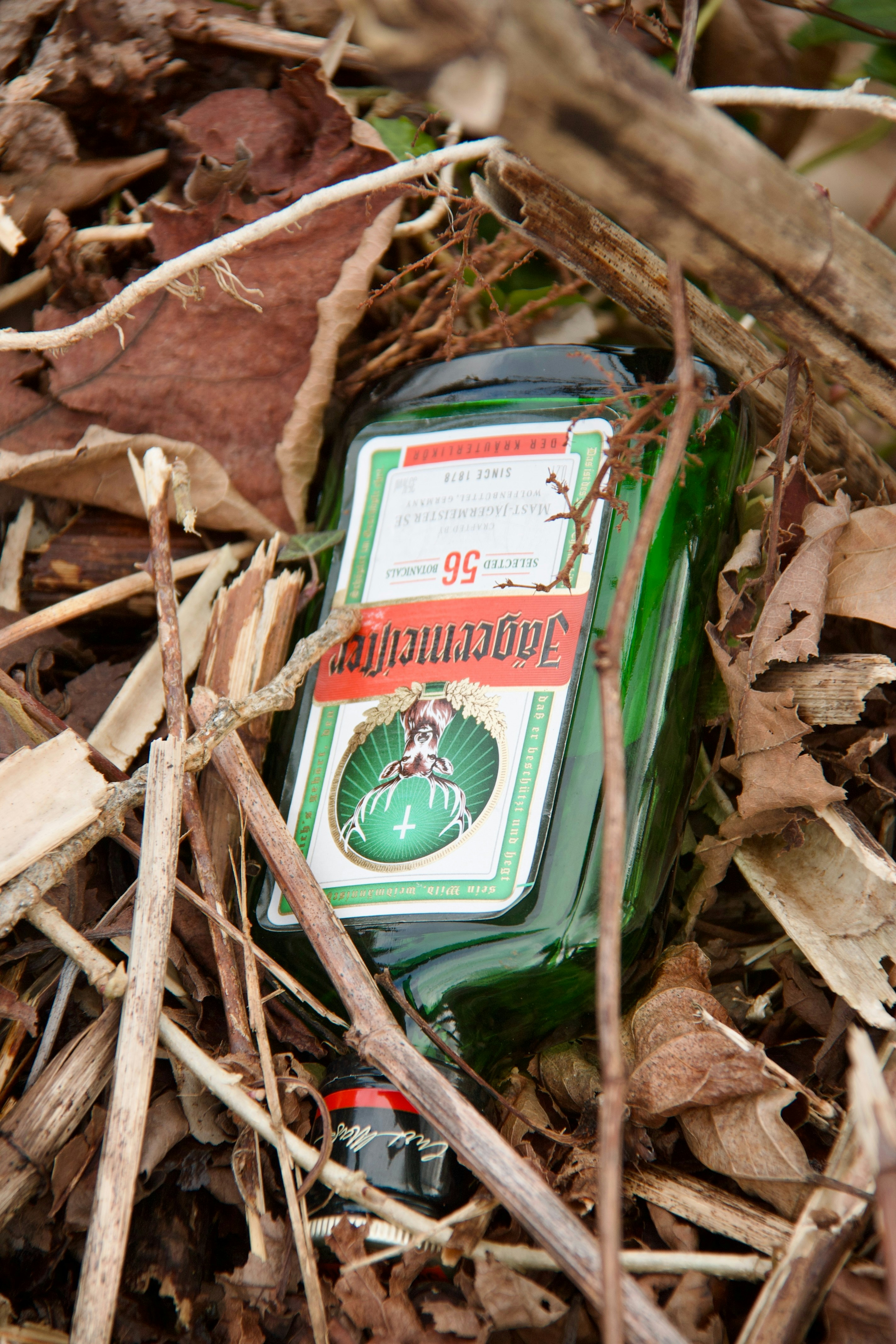 Photo by Pablo Sanchez Cuesta with Canon EOS 450D