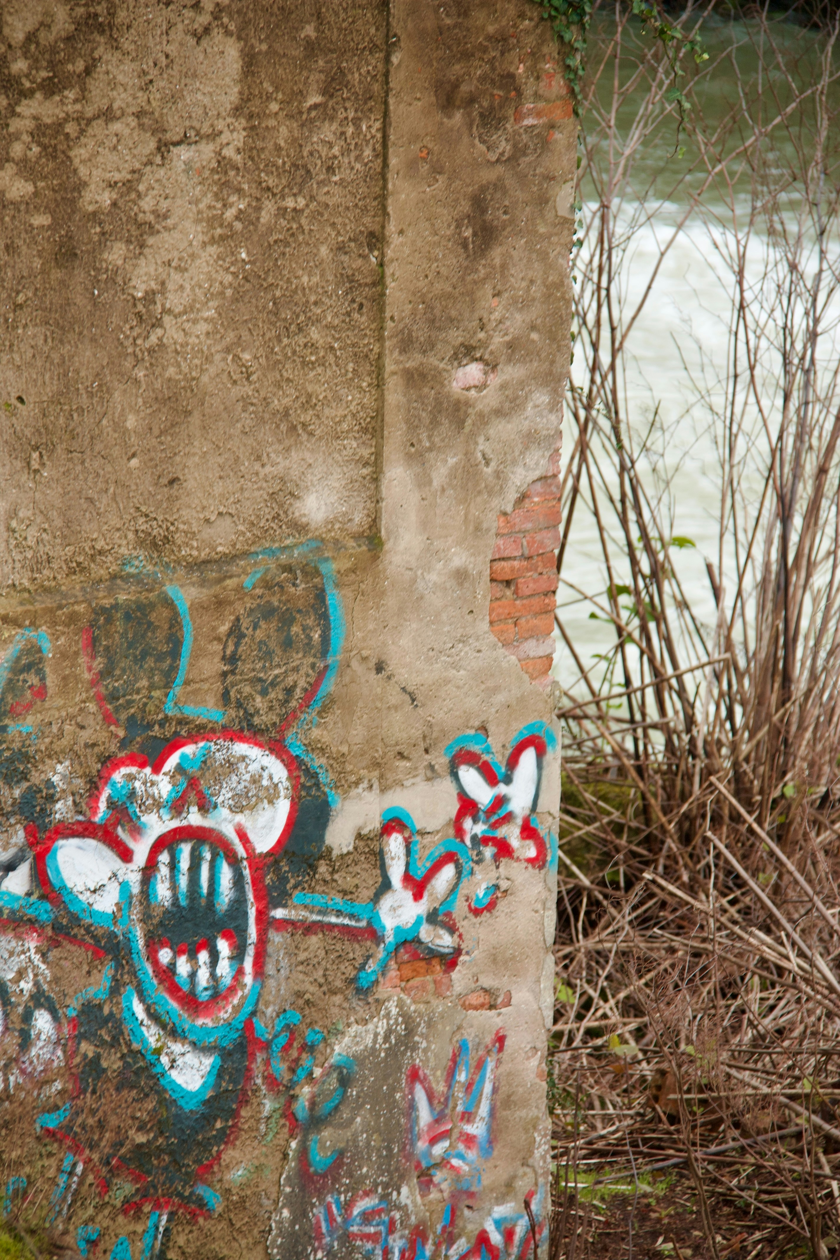 graffiti on the side of a building near a river