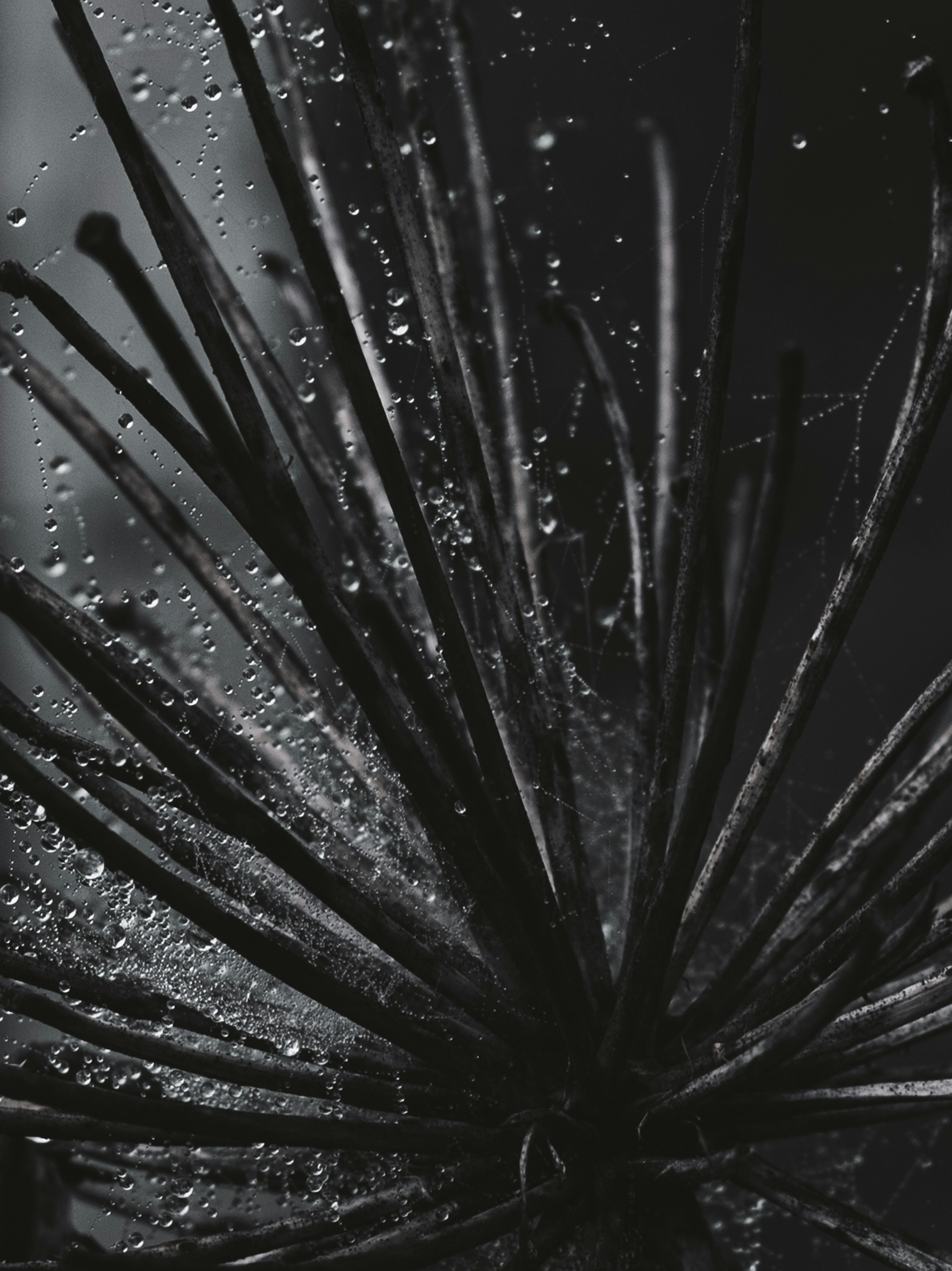 Scientific Background Pictures | Download Free Images on Unsplash