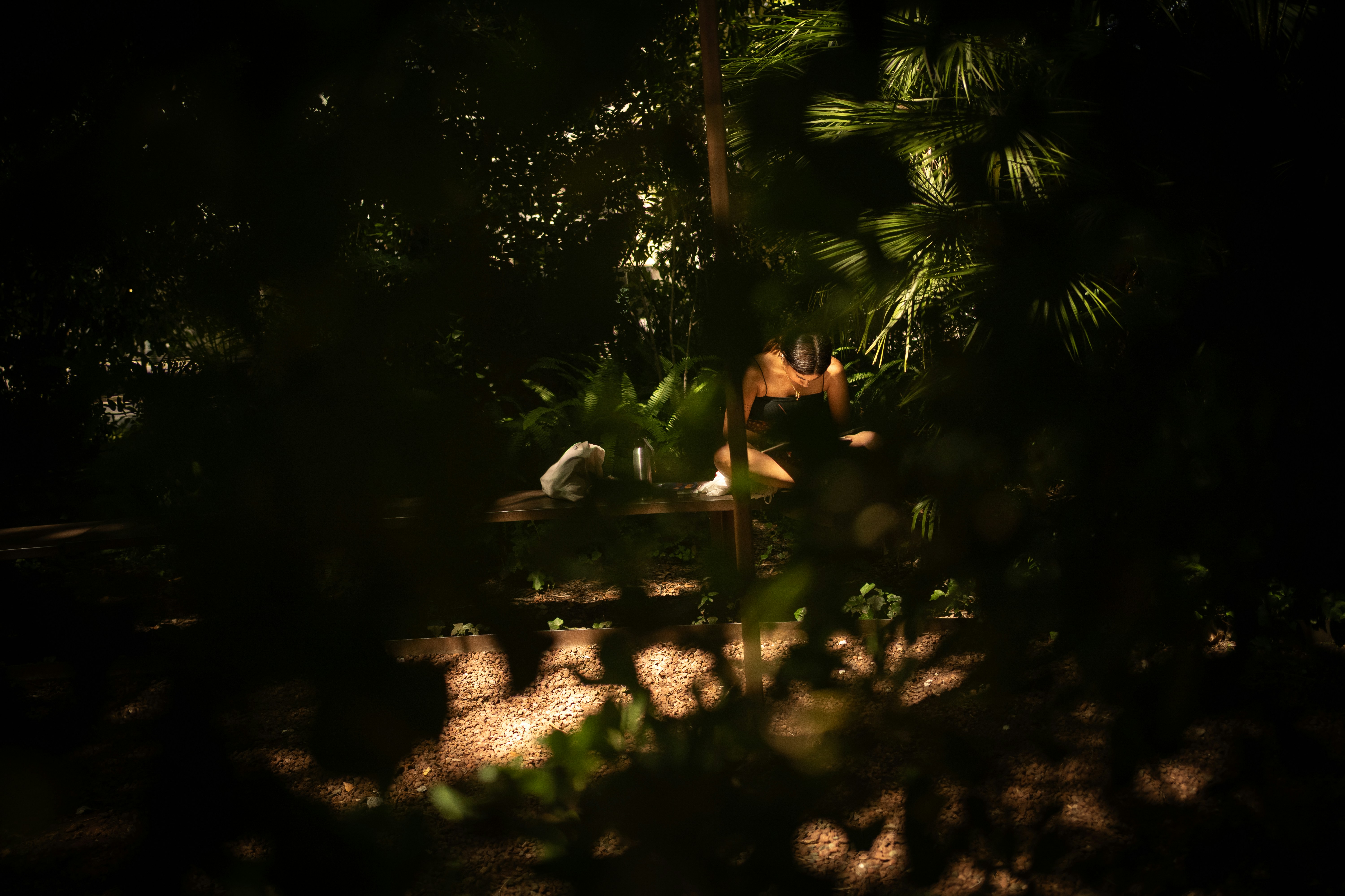 Person sketching on a bench surrounded by lush greenery in dappled sunlight.