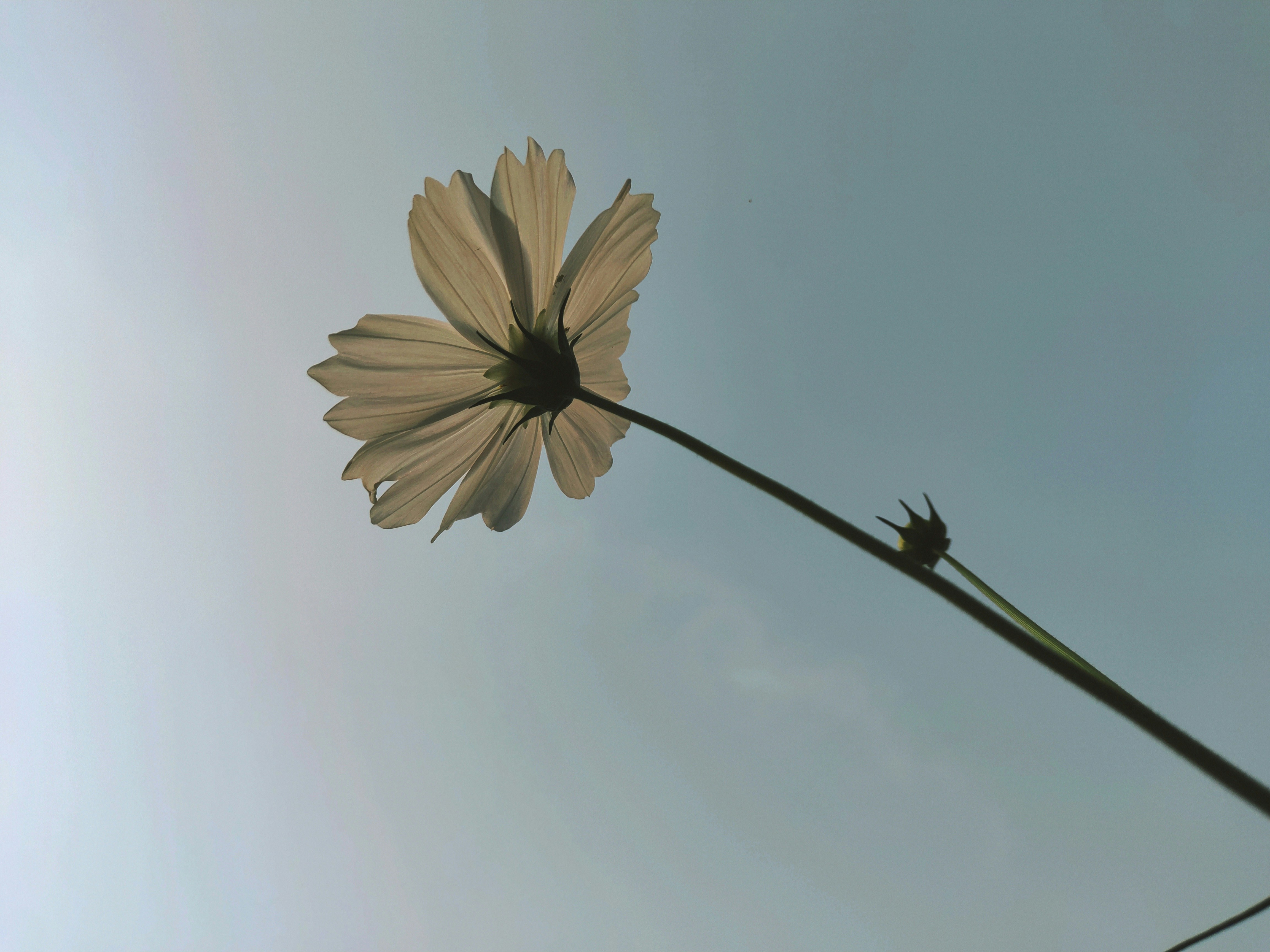 Photo by Abi abdullah miyad with Vivo V21e