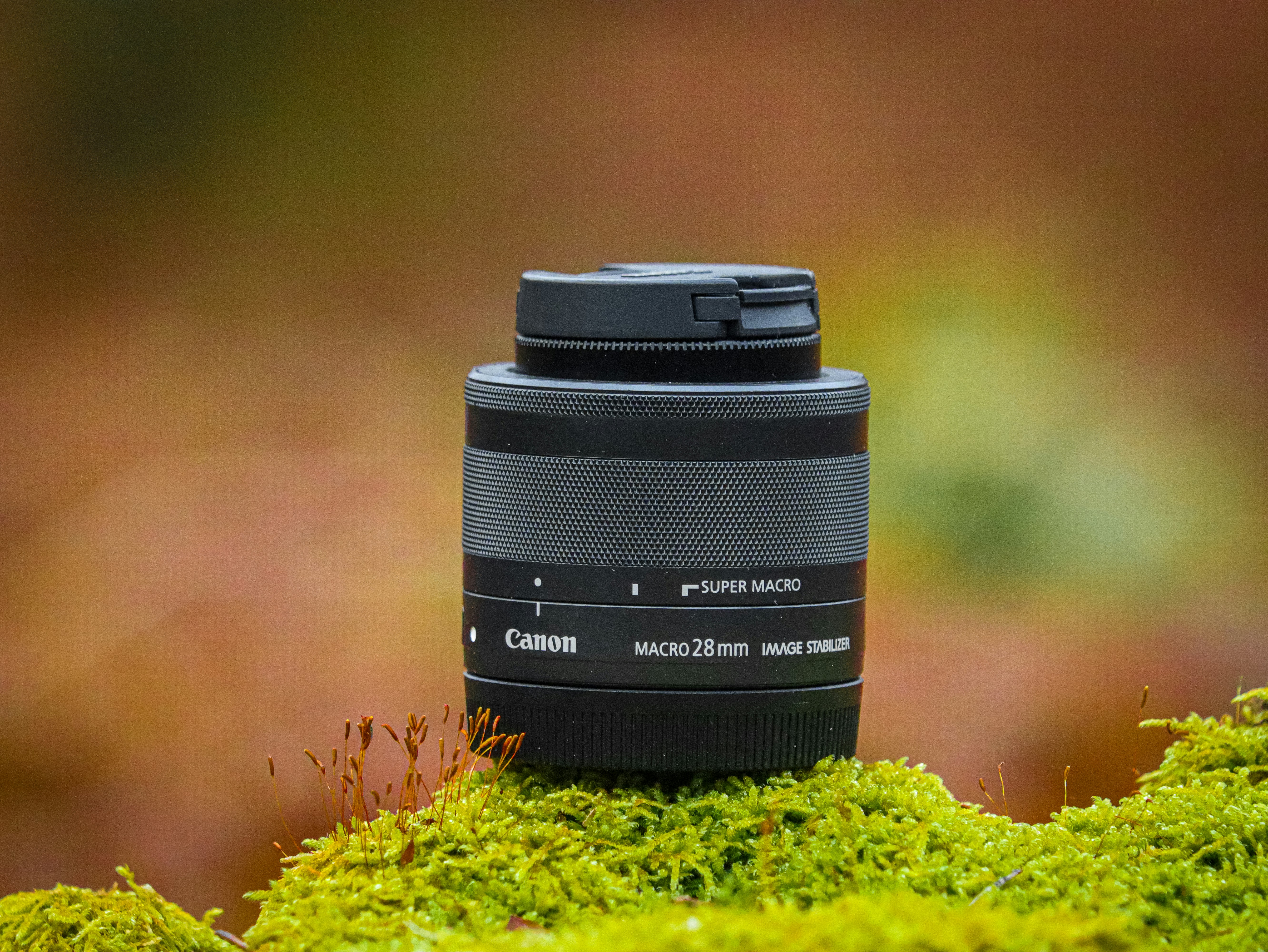 Macro Focus: Canon Lens Resting on Moss