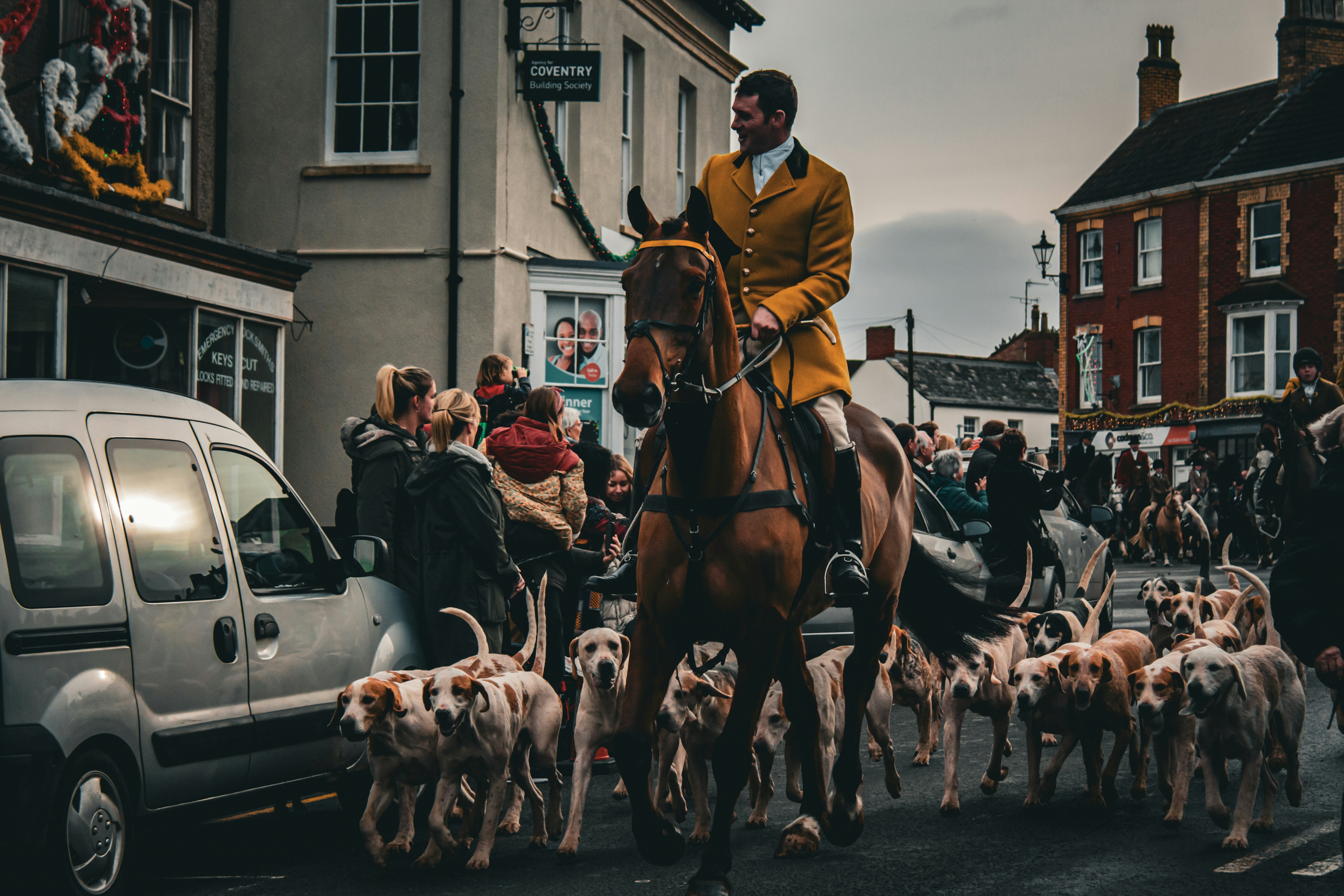 Golden Coat on the Carriage Run: A Man on Horseback Leads a Dog Caravan Down a Town Street