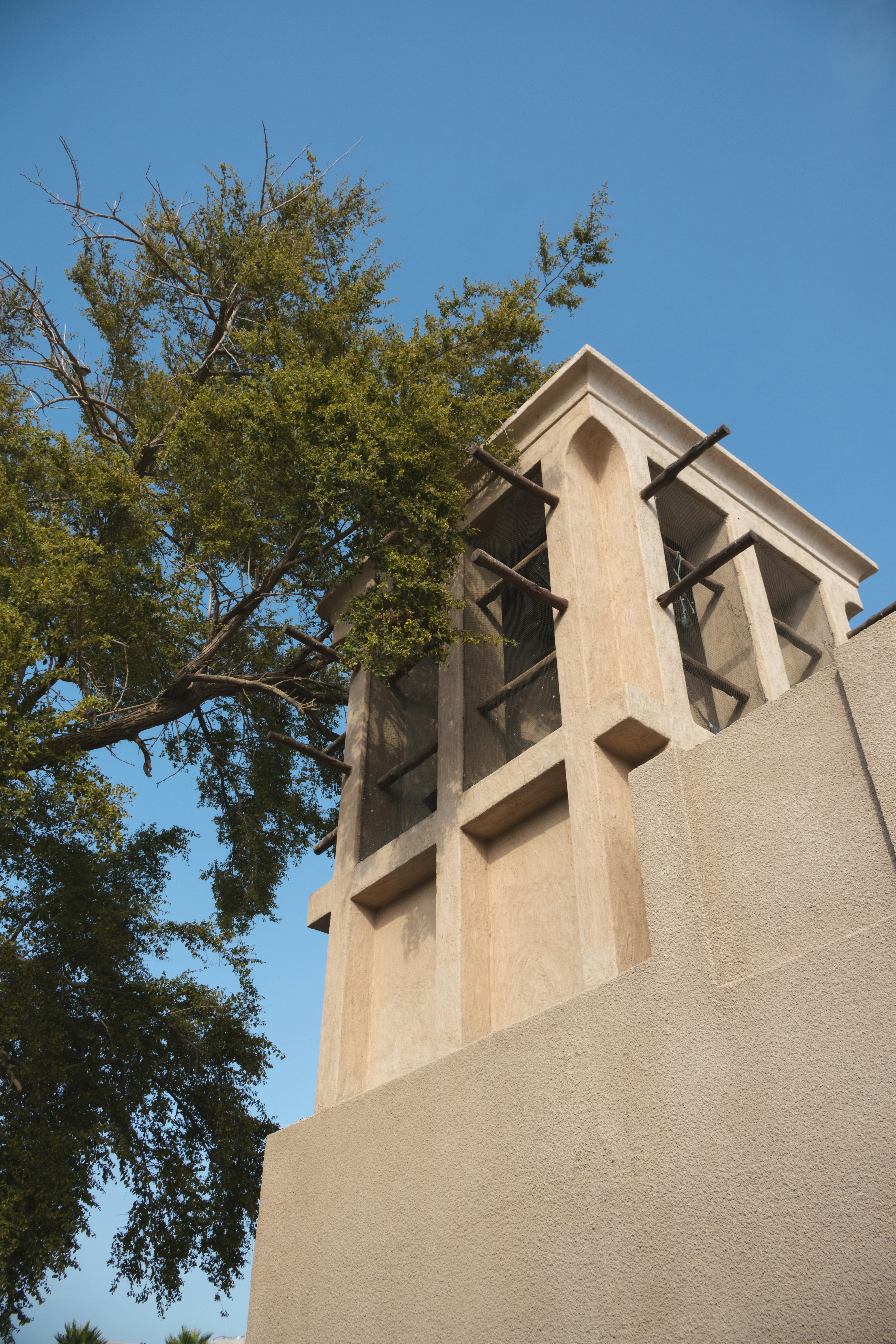 Bell-Tower Geometry Rising Beside a Verdant Canopy