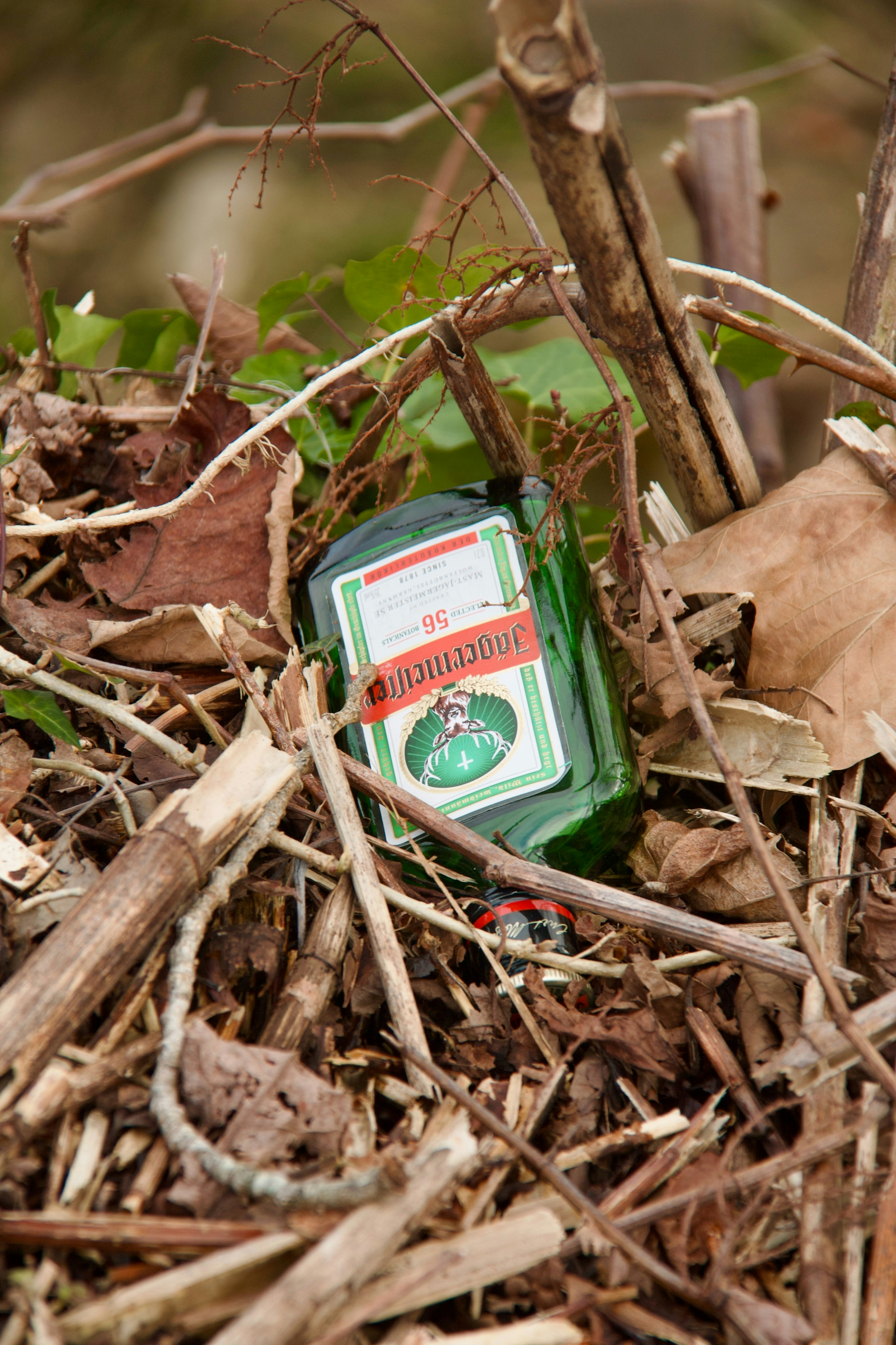 Photo by Pablo Sanchez Cuesta with Canon EOS 450D