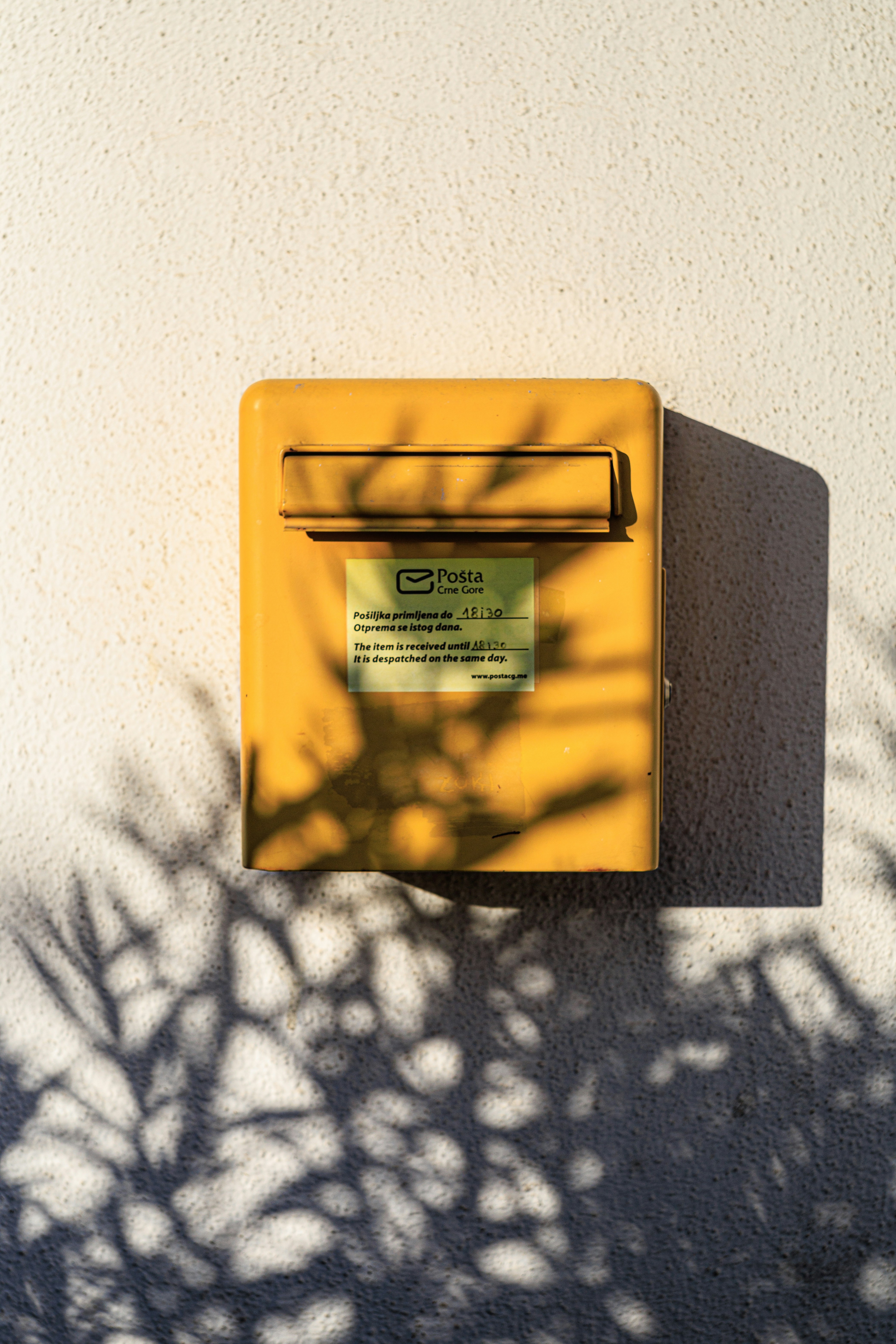 Amber Mailbox Beneath a Veil of Shadowed Branches