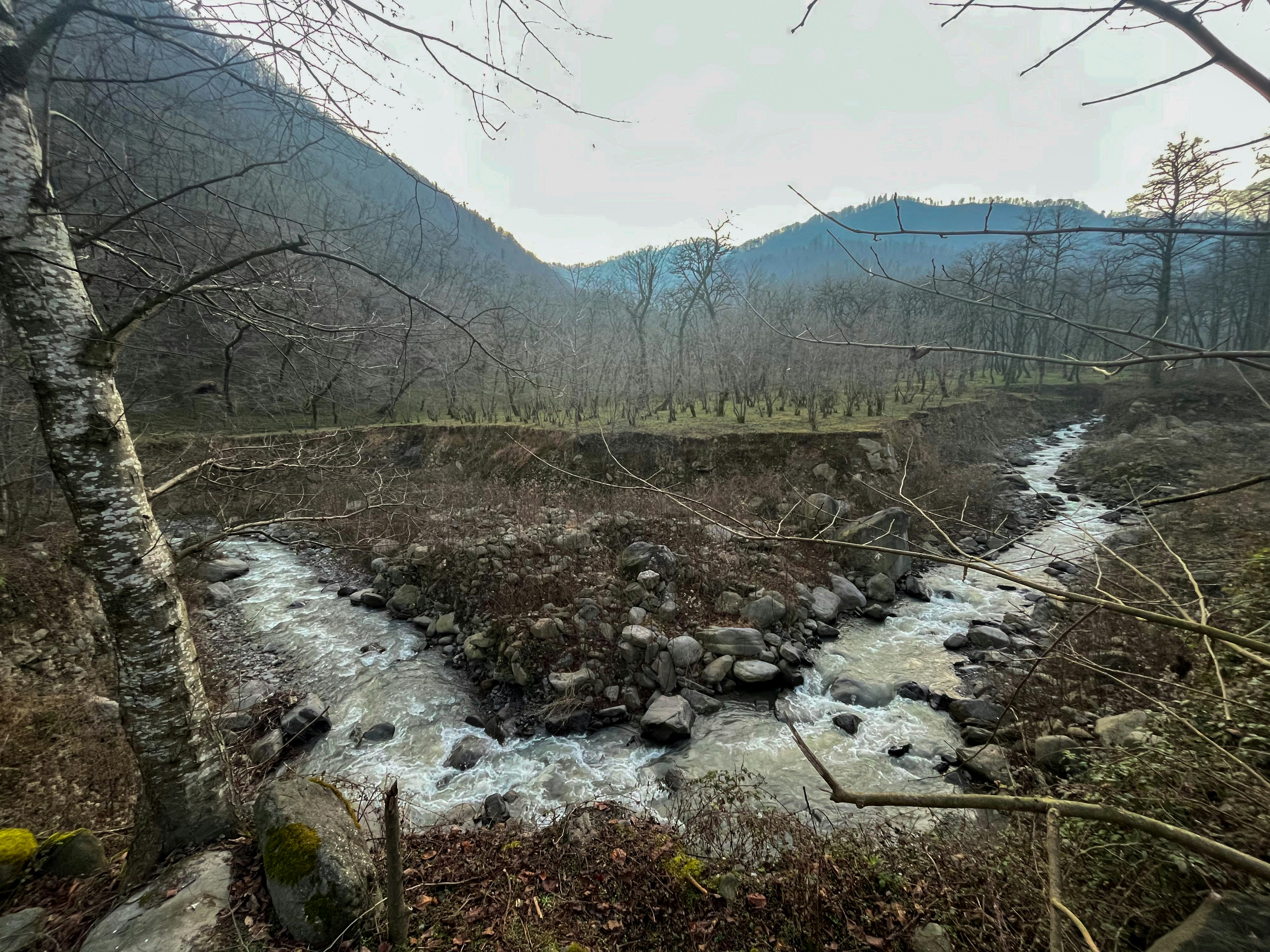 A river running through a forest filled with rocks photo – Free Land ...