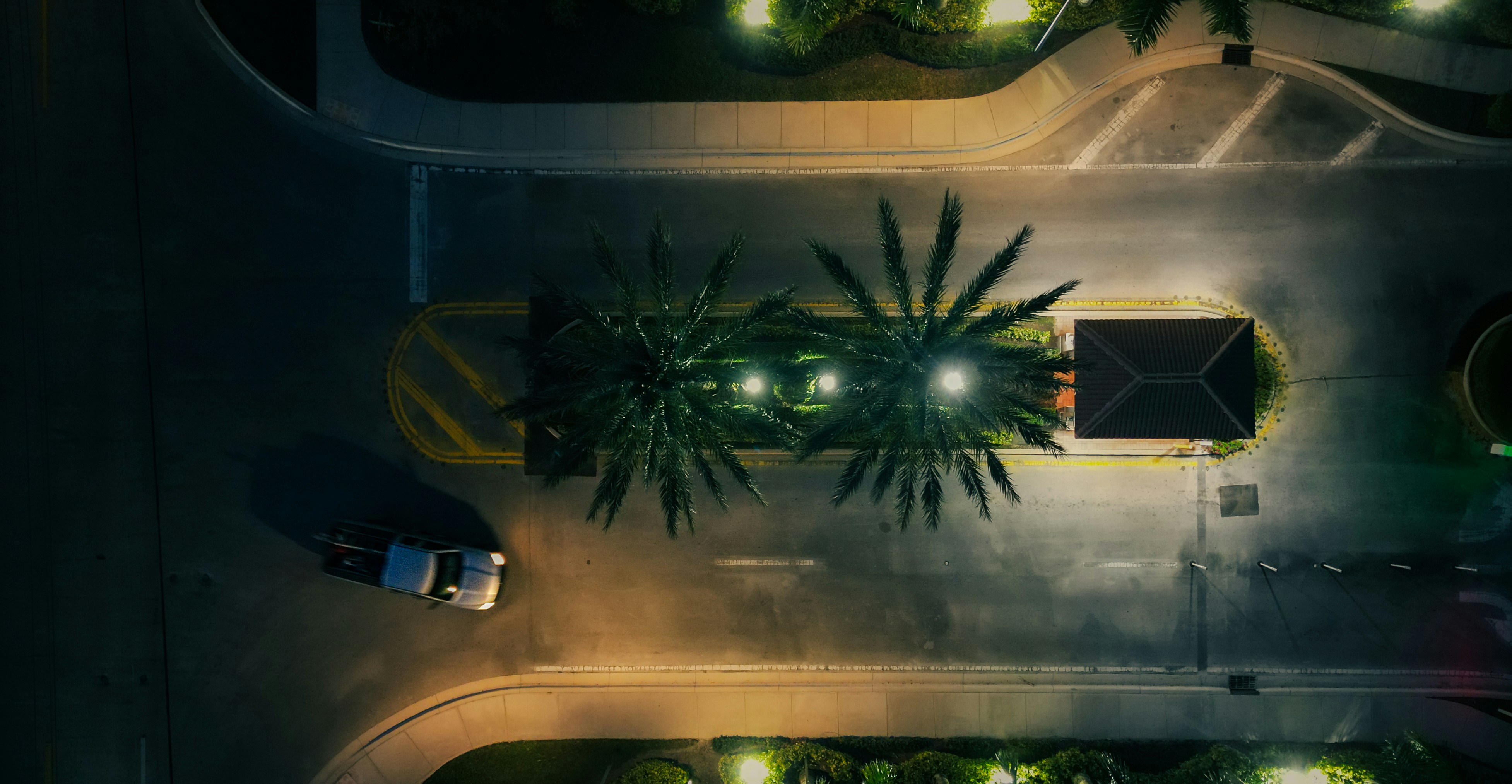 Neon Palm Nightfall: Aerial Silence Over a Palm-Tree-Lined Street