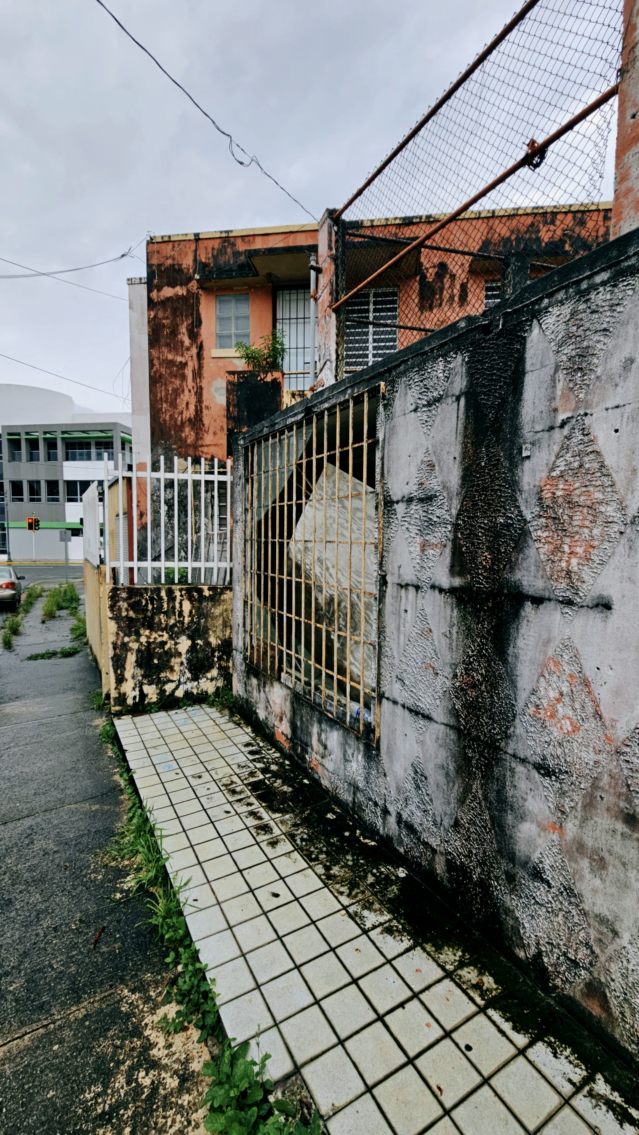 Moss-Ced Mosaic: A Narrow Alley of Weathered Walls and a Gate