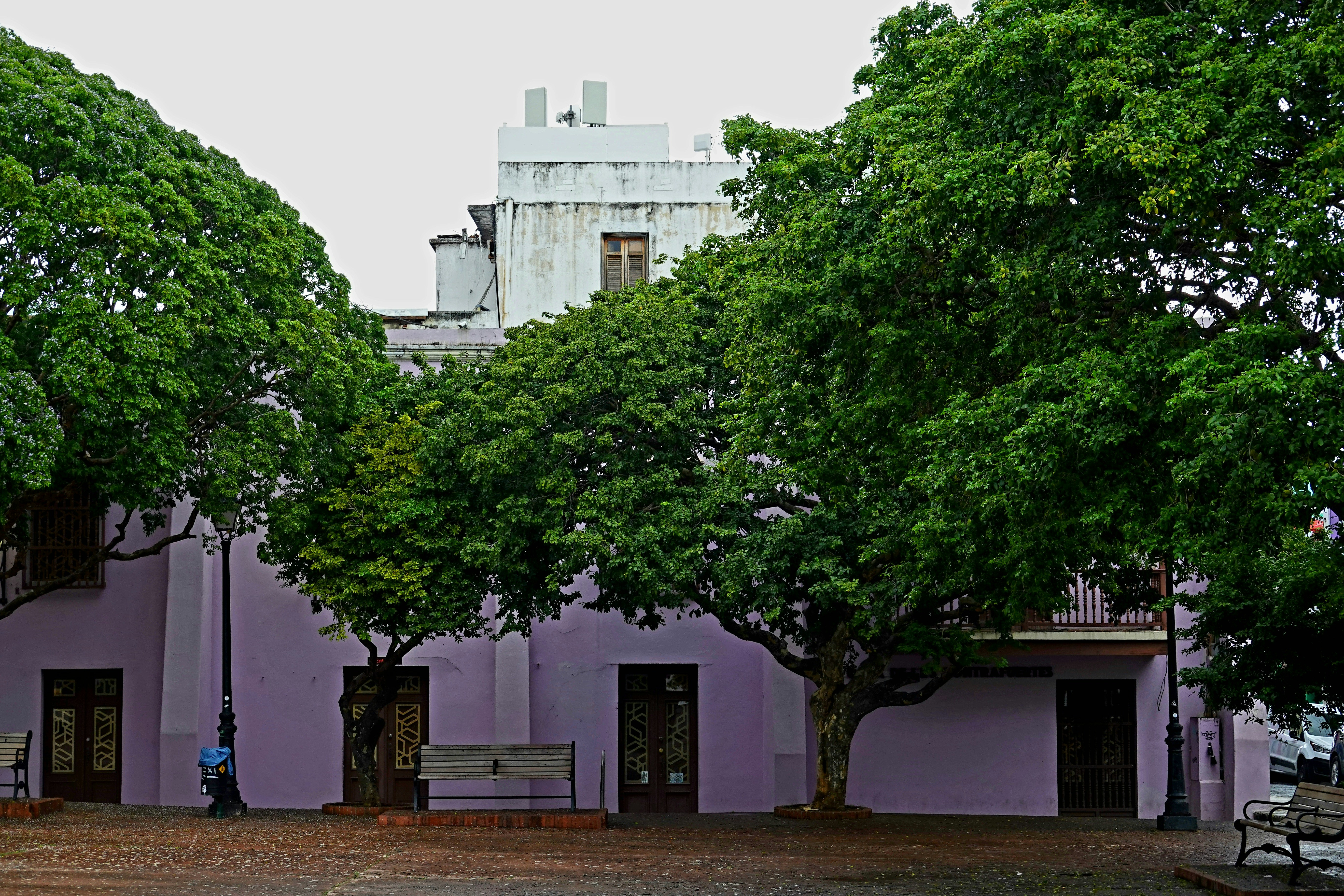 A purple building with trees in front of it photo – Free Bench Image on ...