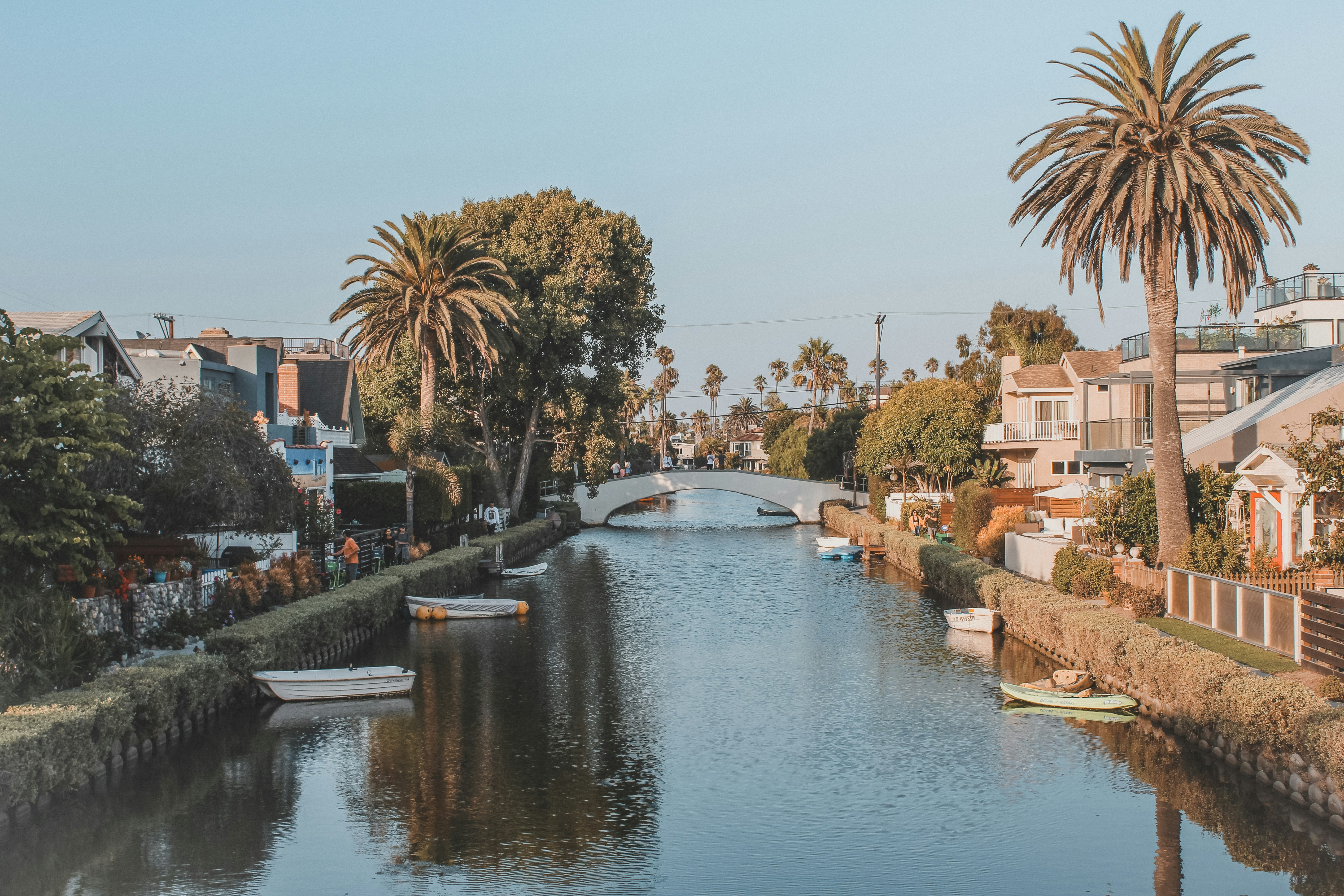 Canal-lined neighborhood with calm reflections under a clear afternoon sky