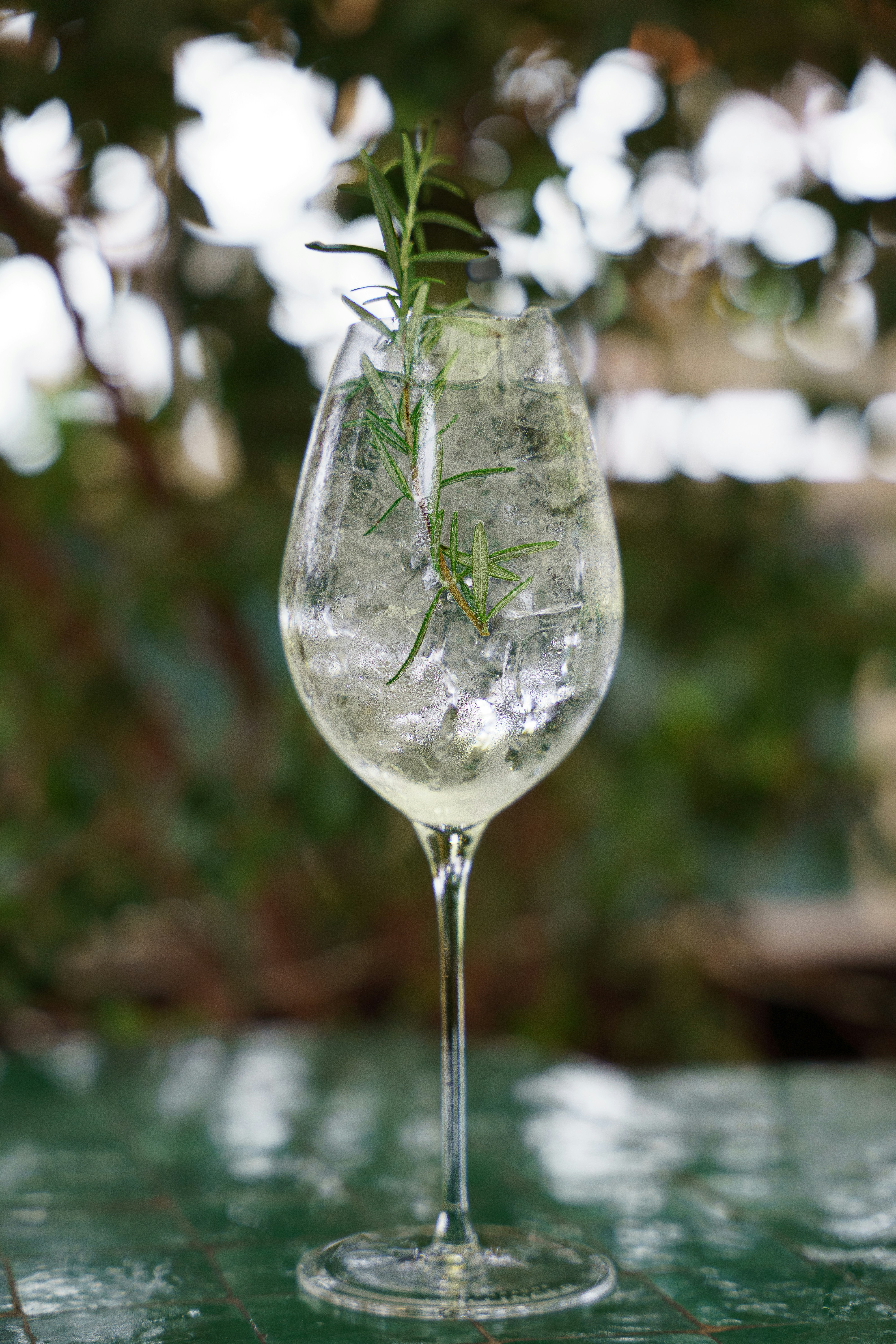 A glass of wine with a sprig of rosemary in it photo – Free Glass Image ...