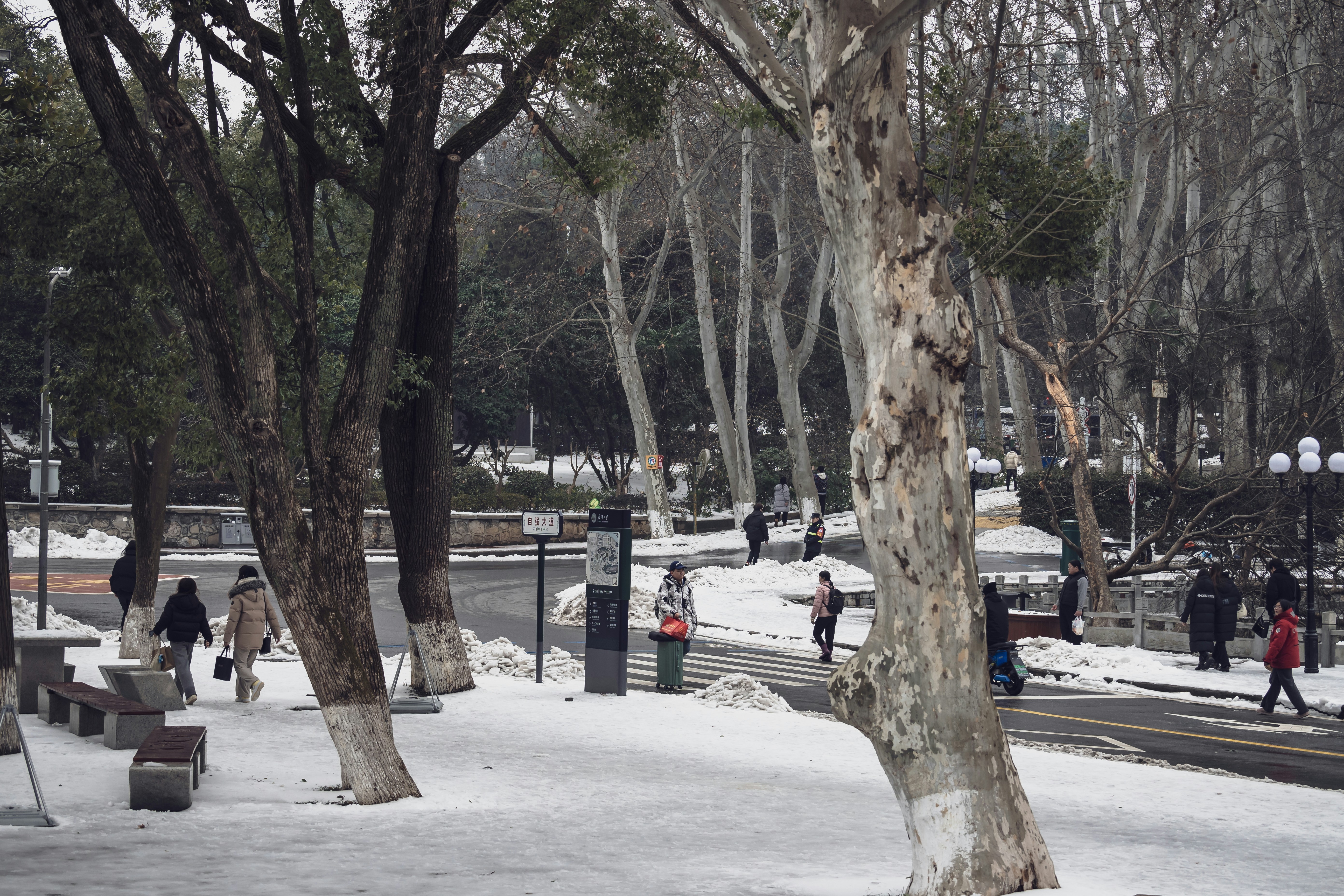 Snow-Blanketed Promenade: Pedestrians in a Quiet Park