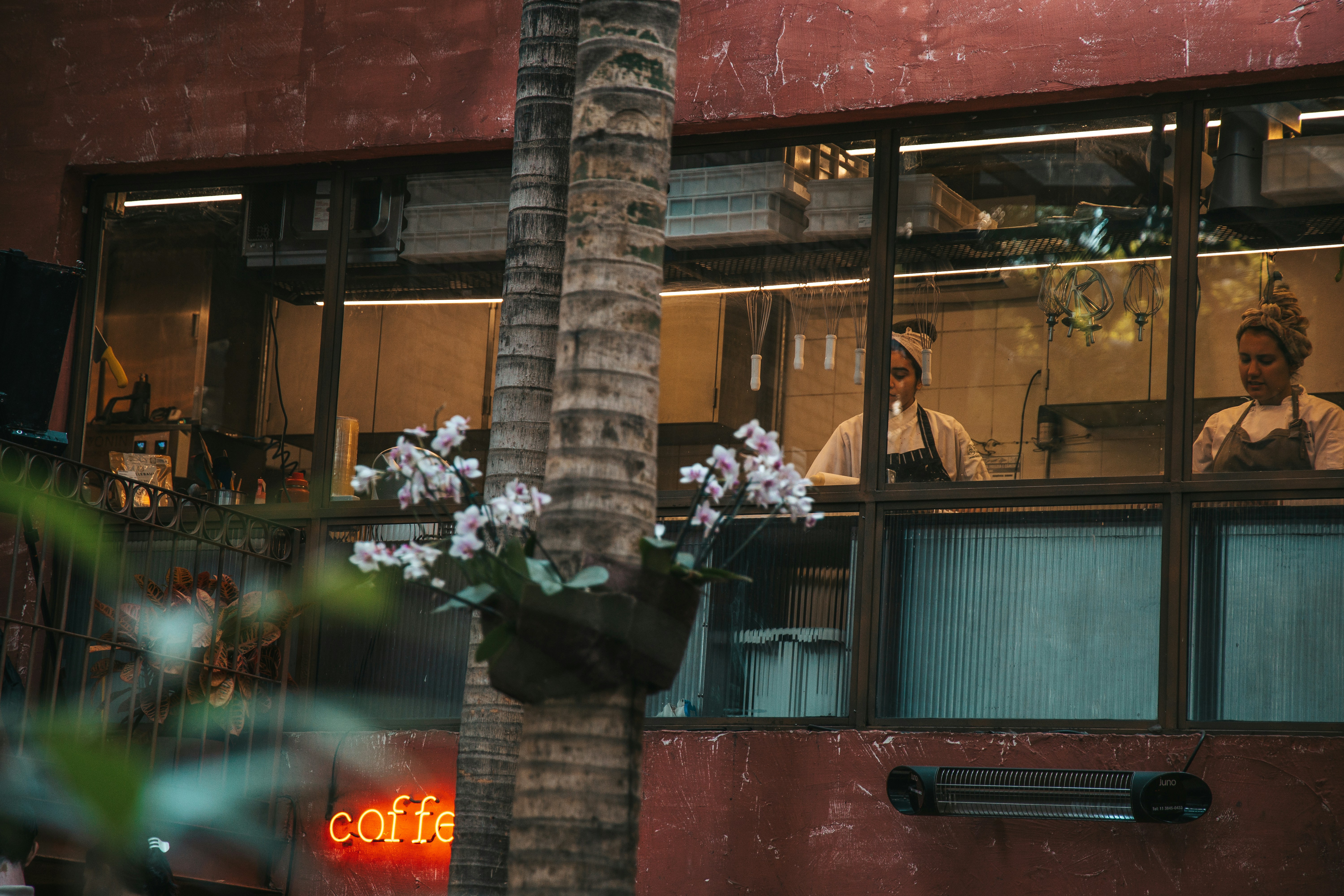 Palm Fronds and Neon: Quiet Dialogue Through a Café Window