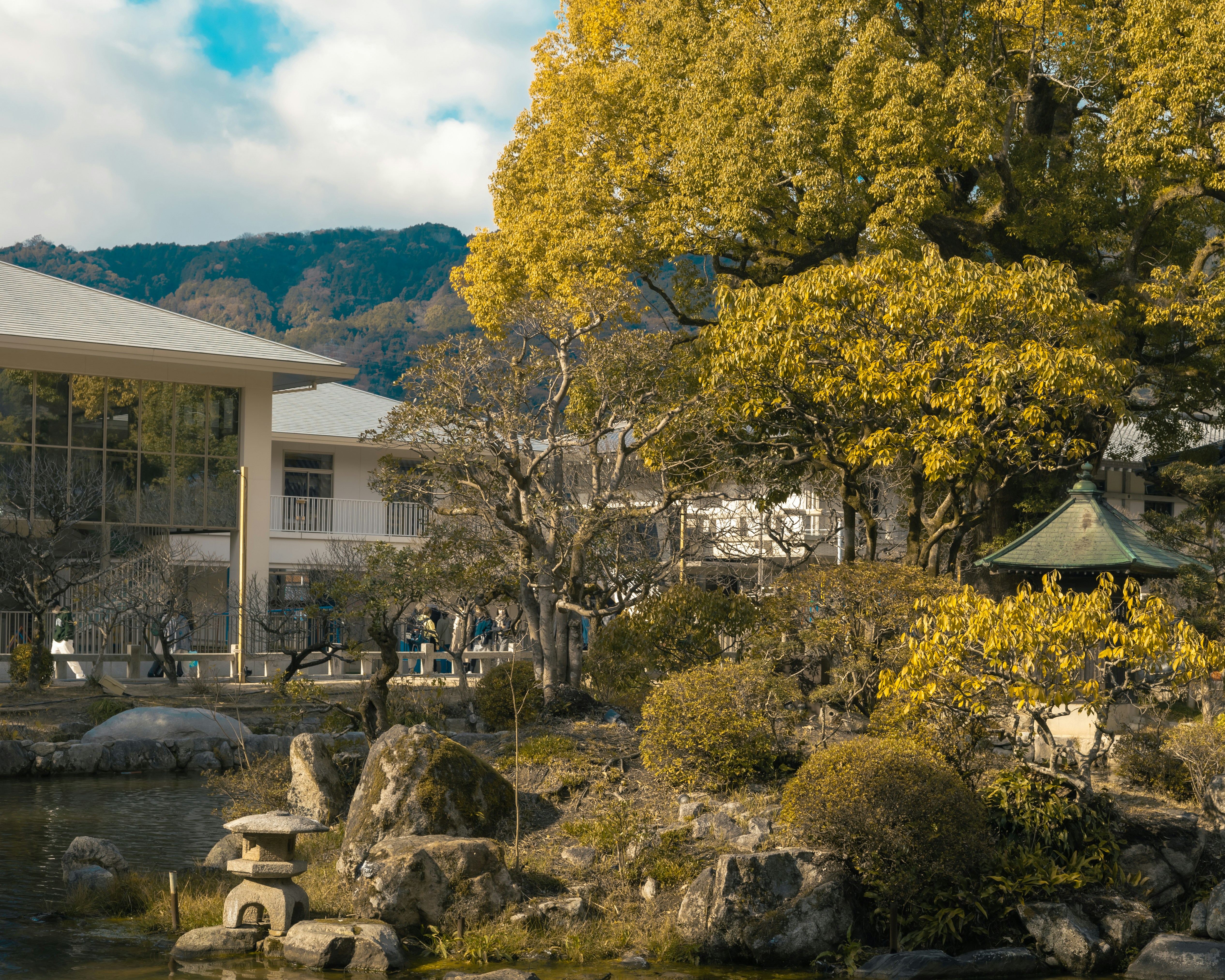 Golden Canopy Courtyard: A Quiet Pond-Side Garden in Autumn Light